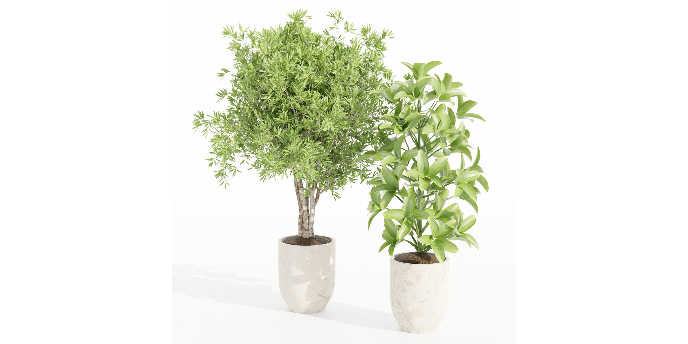 Indoor Outdoor Plants collection vol 105-Blender 3D model | CGTrader