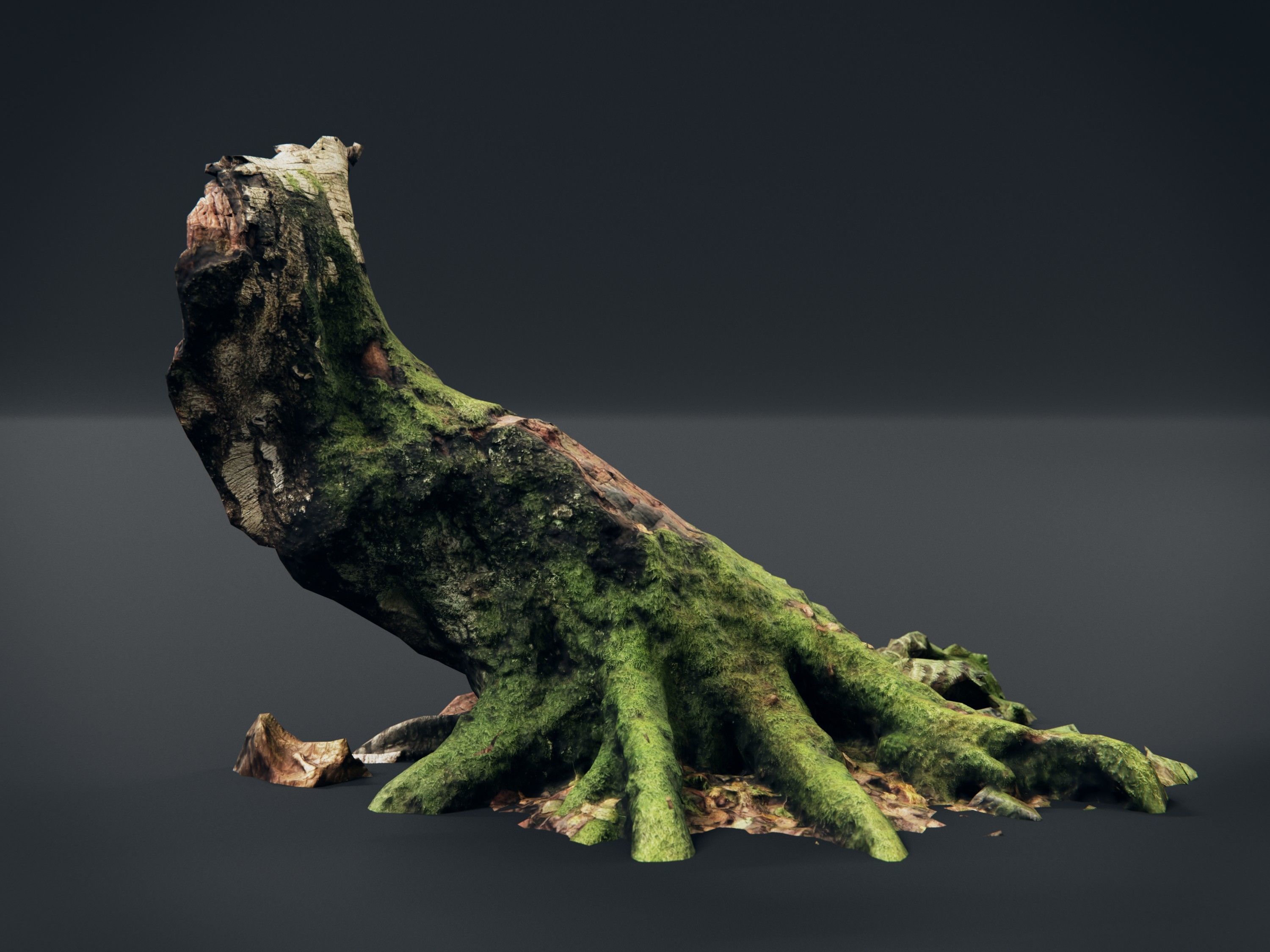 photoscanned tree trunks free 3D model | CGTrader