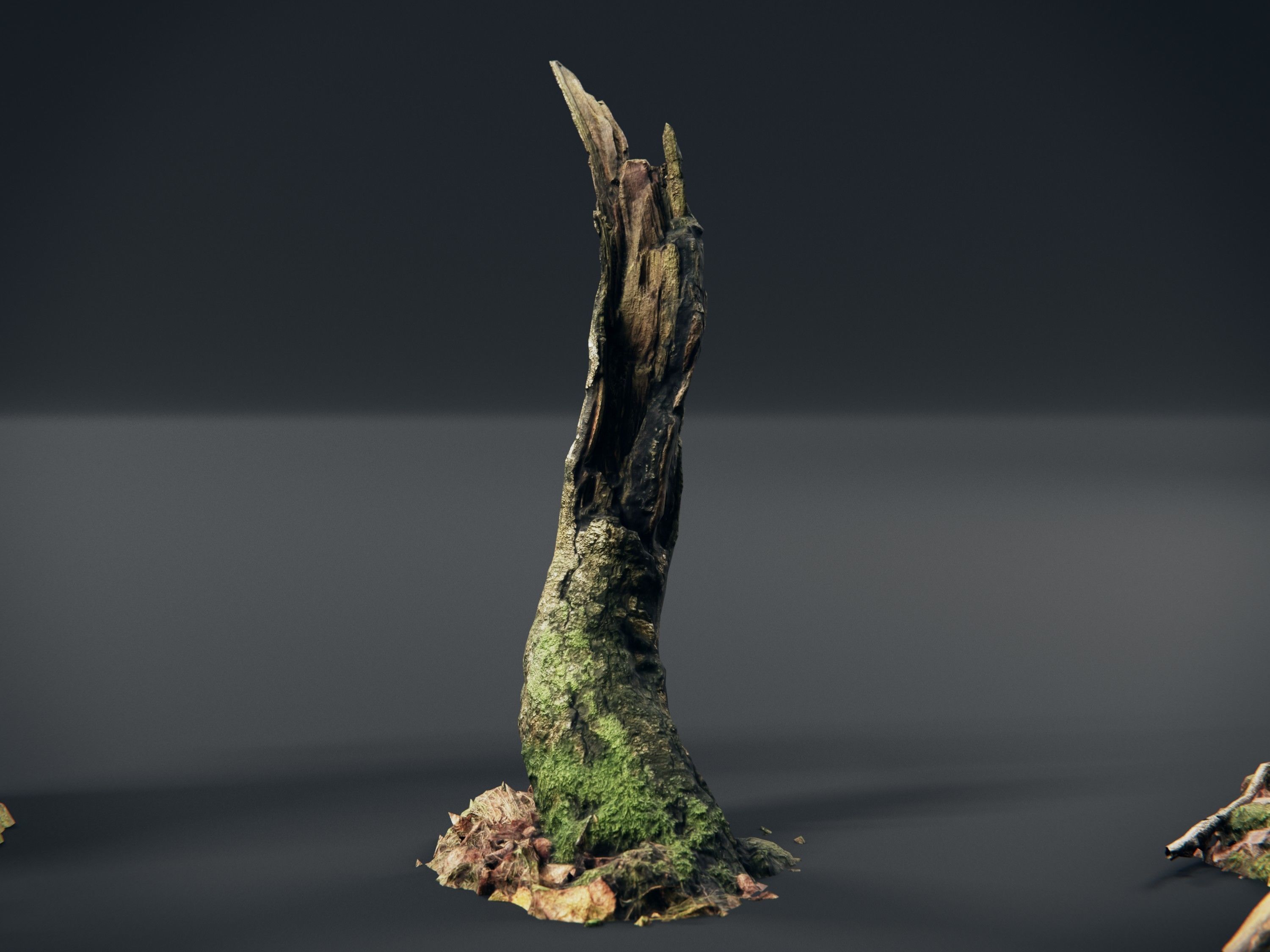 photoscanned tree trunks free 3D model | CGTrader