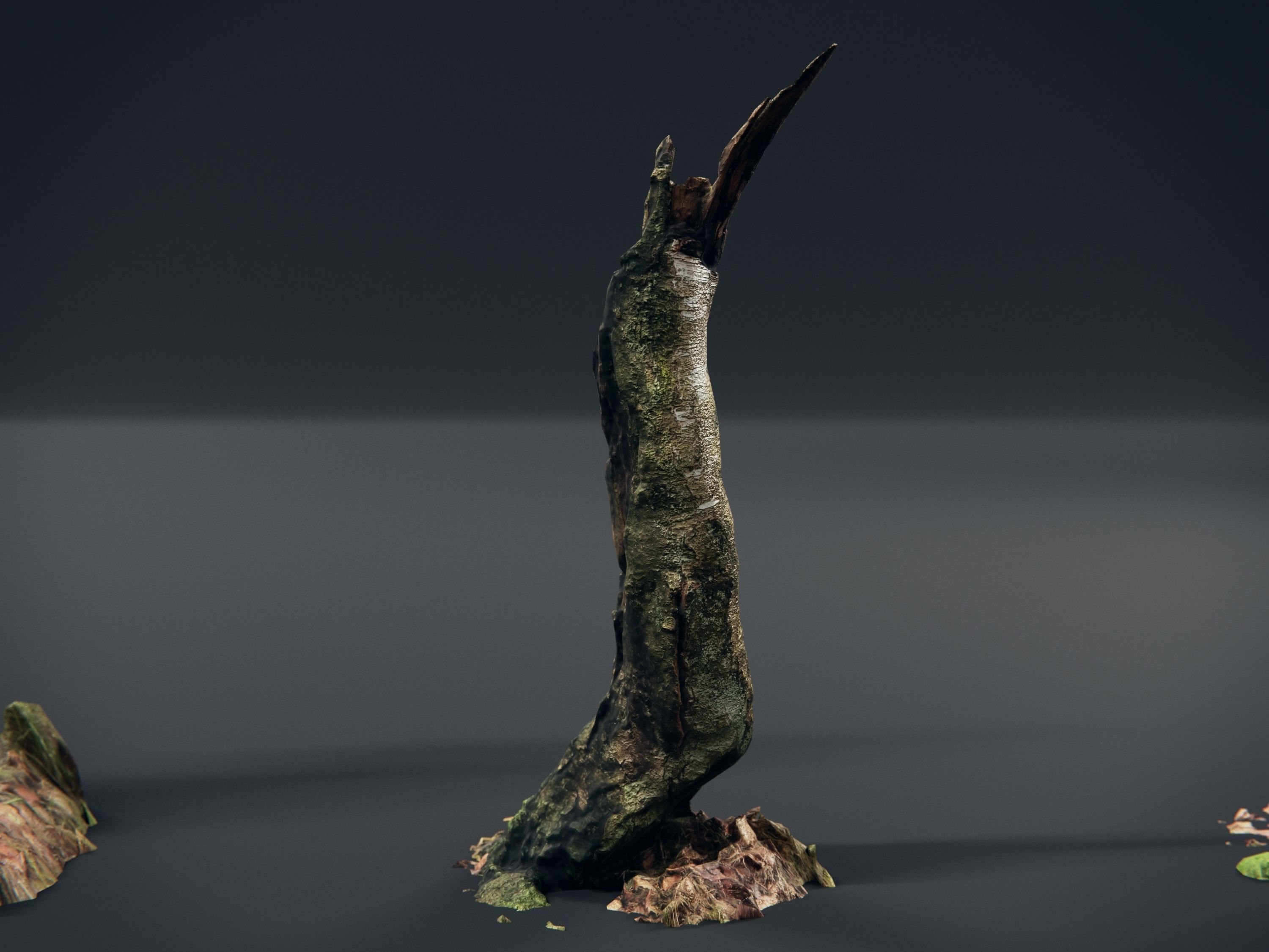 photoscanned tree trunks free 3D model | CGTrader