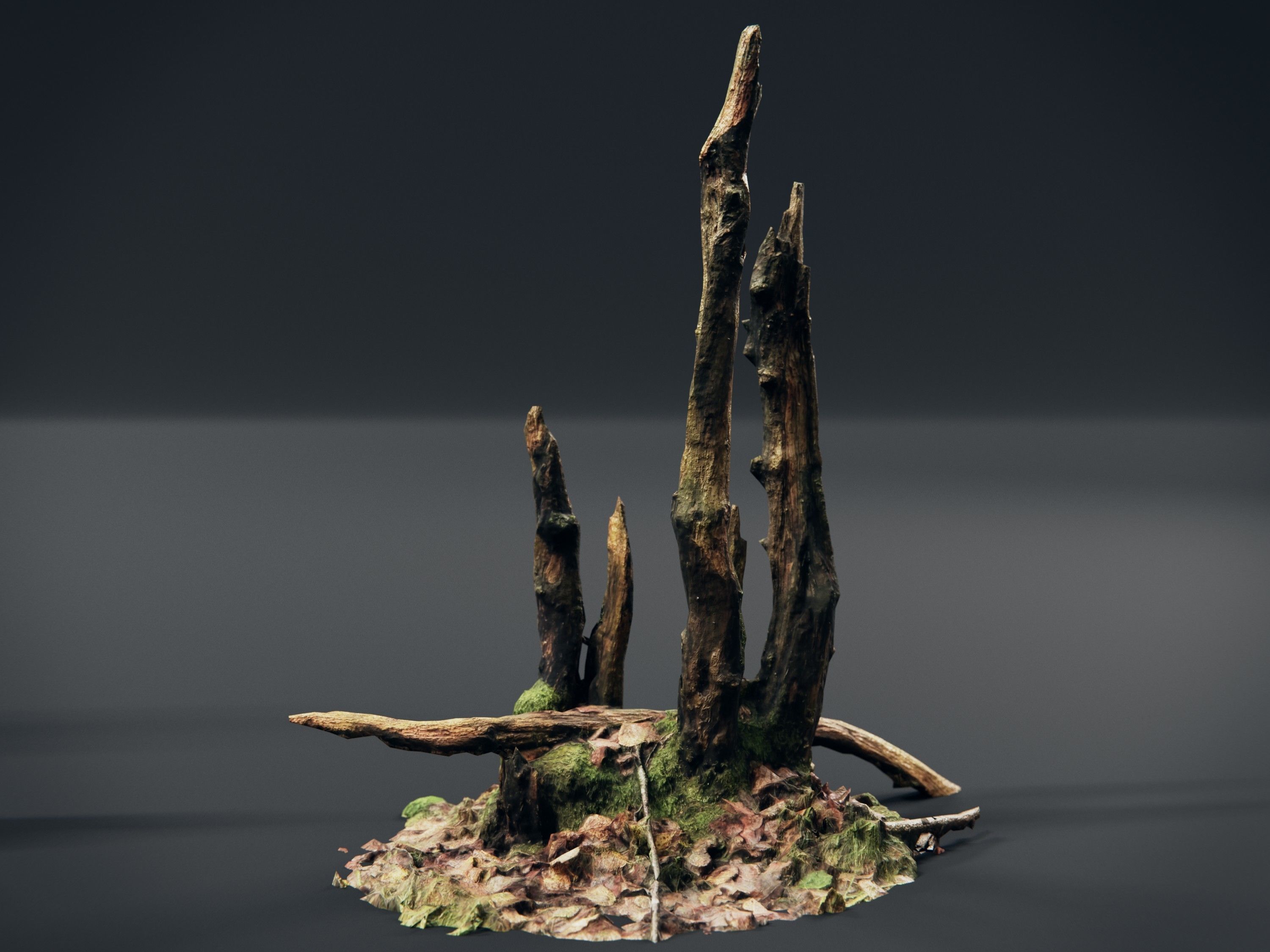 photoscanned tree trunks free 3D model | CGTrader