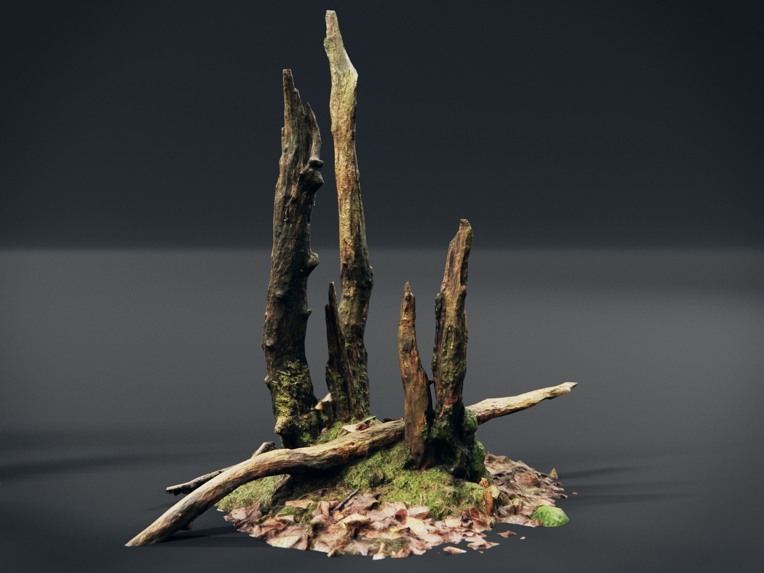photoscanned tree trunks free 3D model | CGTrader