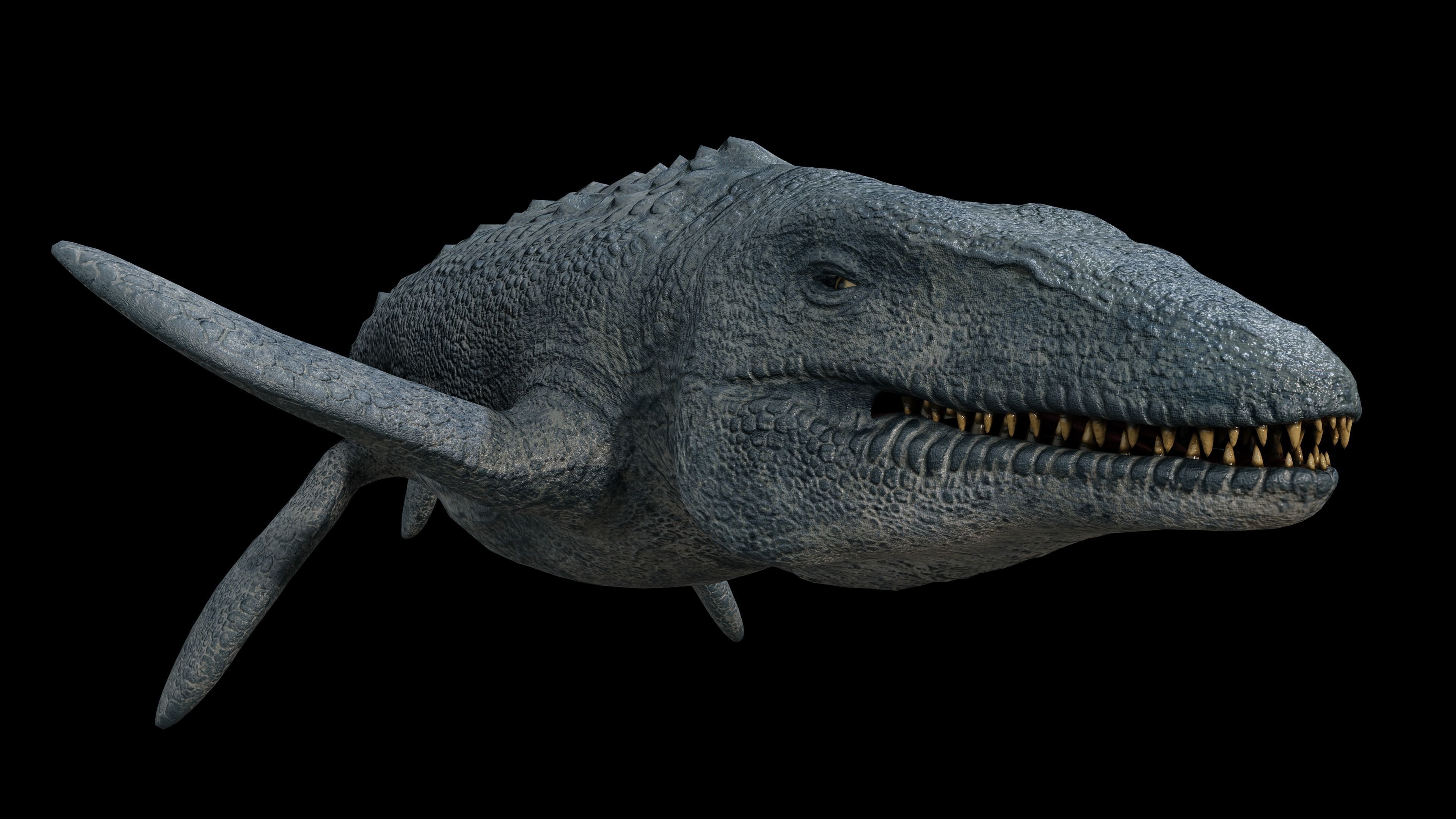 3D model Monster Mosasaurus - Sea Dinosaur VR / AR / low-poly | CGTrader