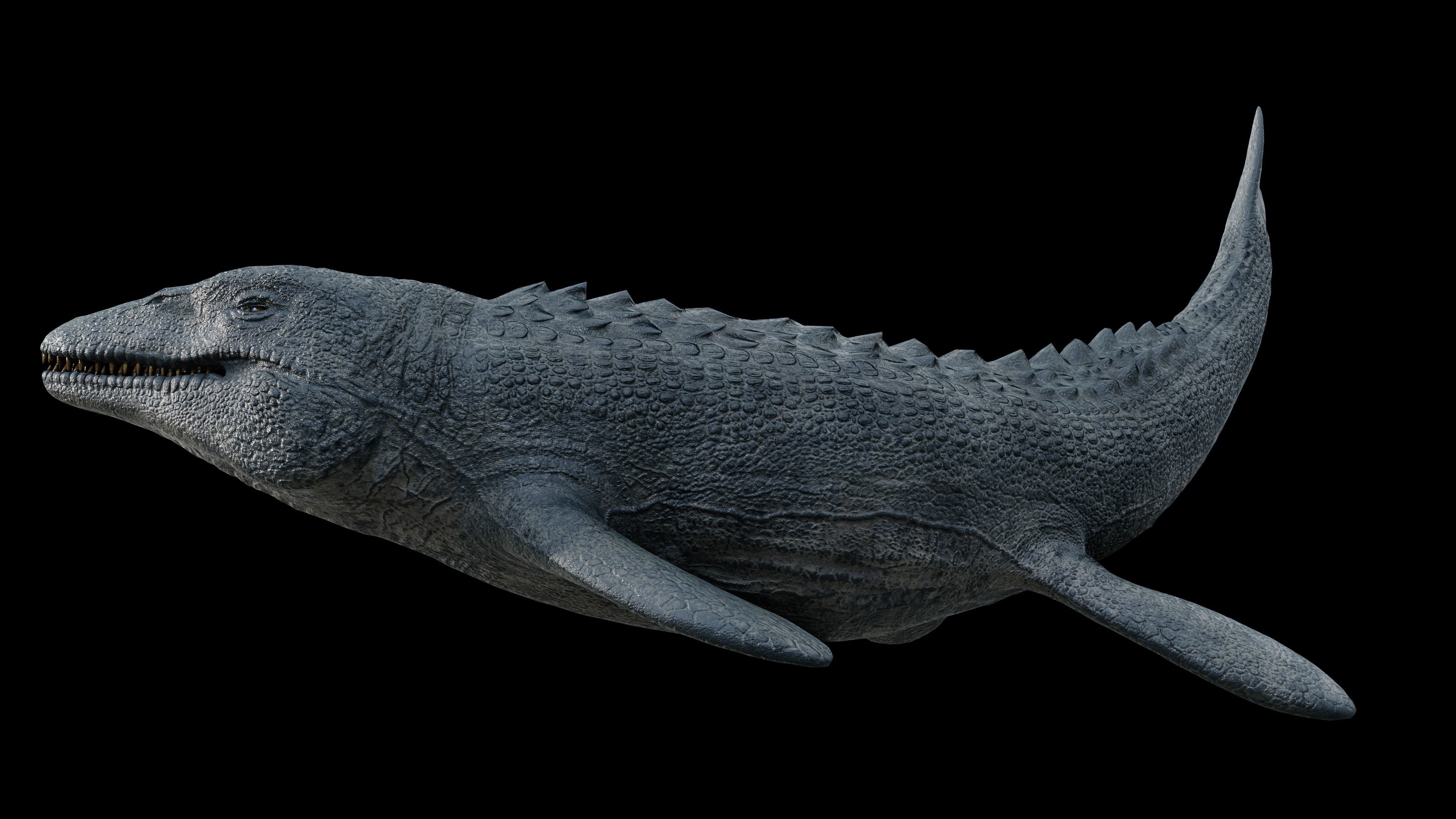 3D model Monster Mosasaurus - Sea Dinosaur VR / AR / low-poly | CGTrader