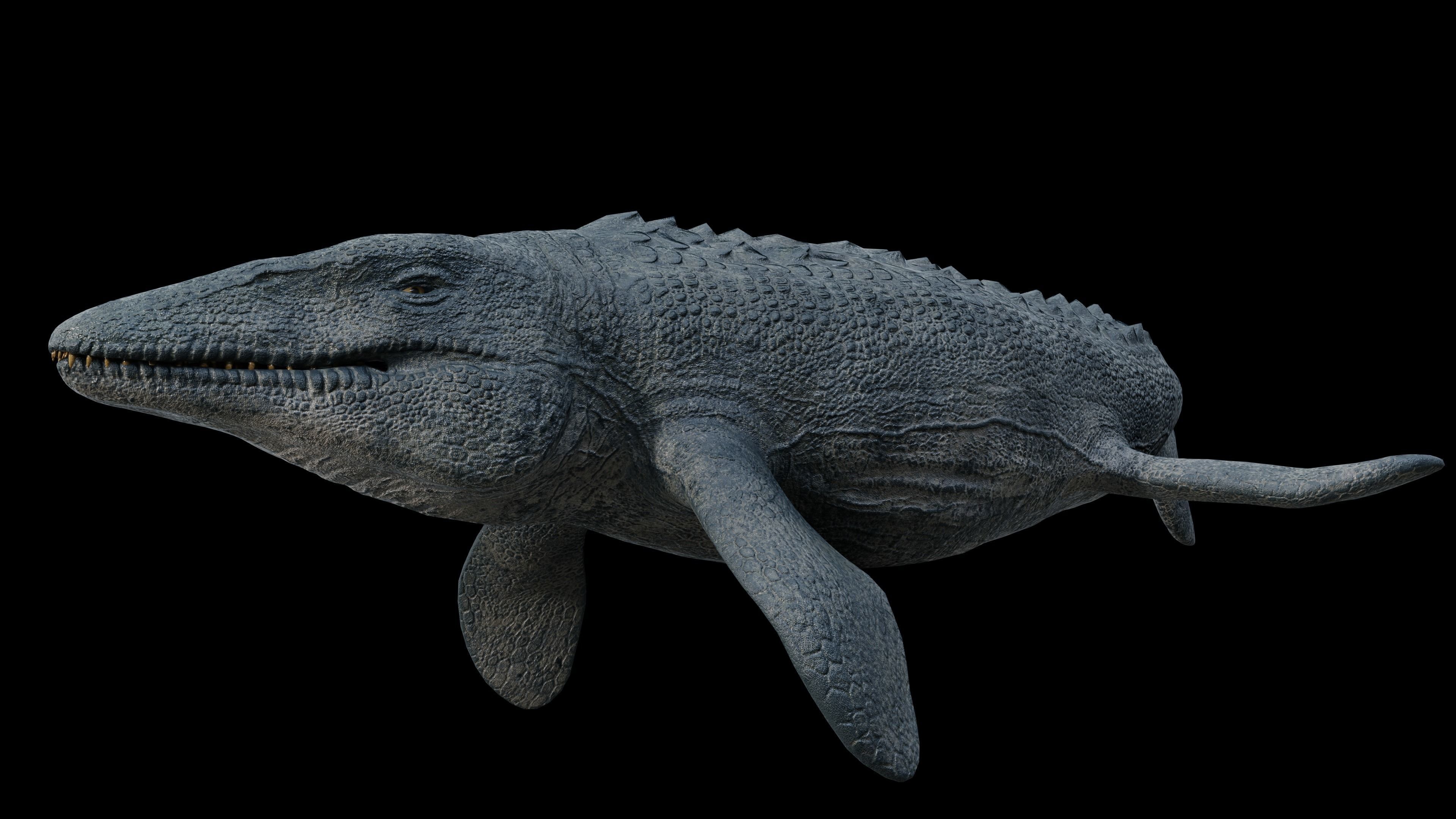 3D model Monster Mosasaurus - Sea Dinosaur VR / AR / low-poly | CGTrader