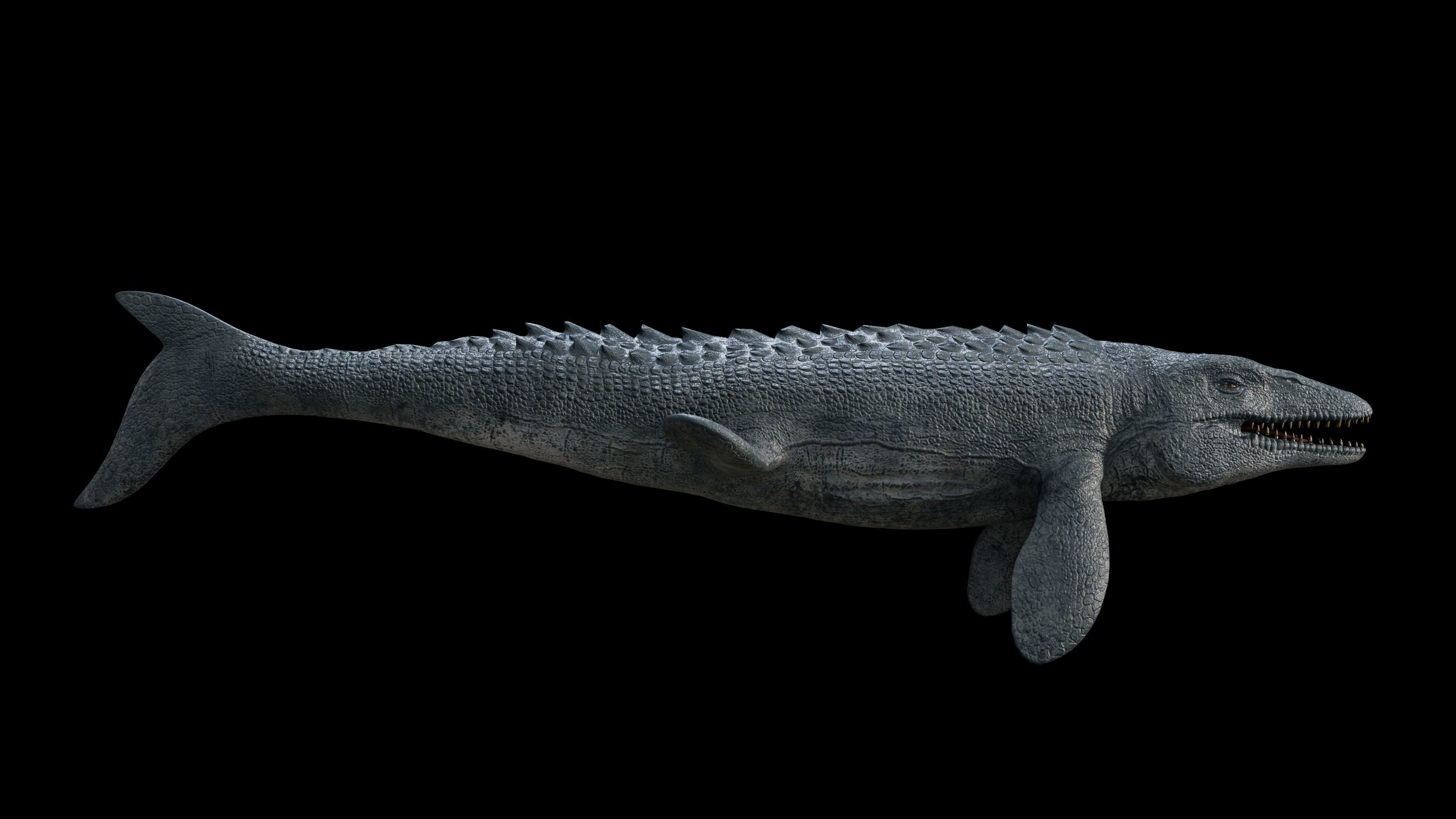 3D model Monster Mosasaurus - Sea Dinosaur VR / AR / low-poly | CGTrader