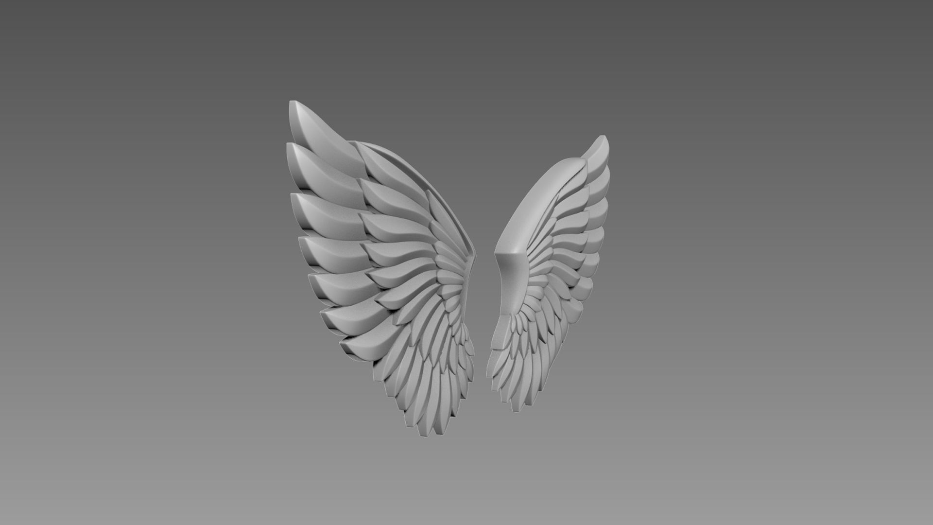 Wings relief 3D model | CGTrader
