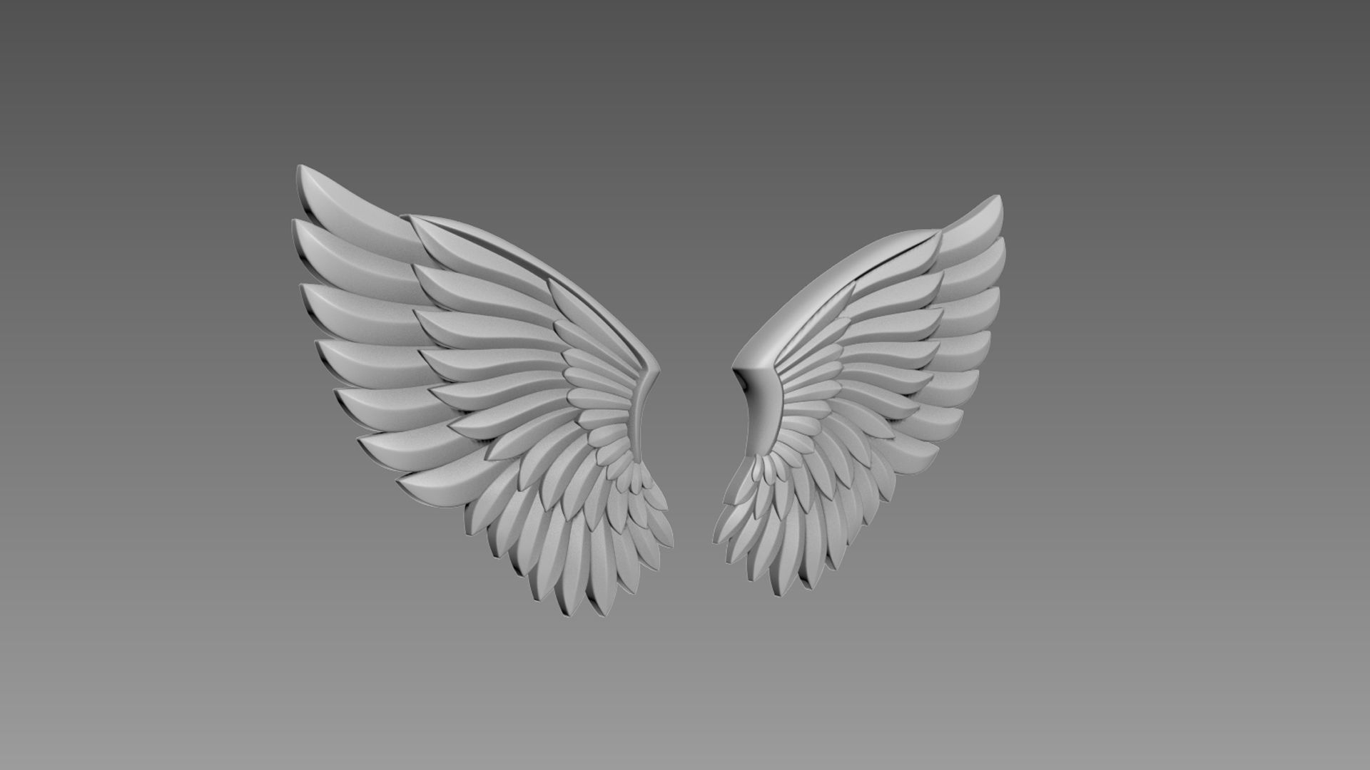 Wings relief 3D model | CGTrader