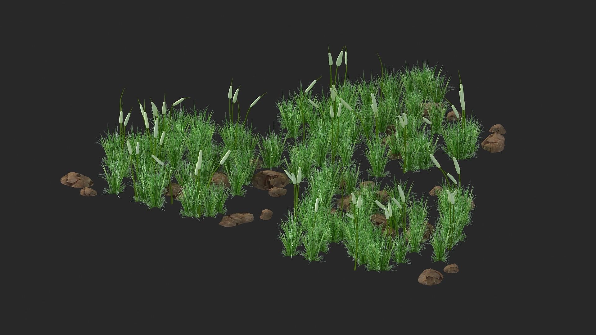 Steppe Prairie Veld Lawn Park Terrain 3D model | CGTrader