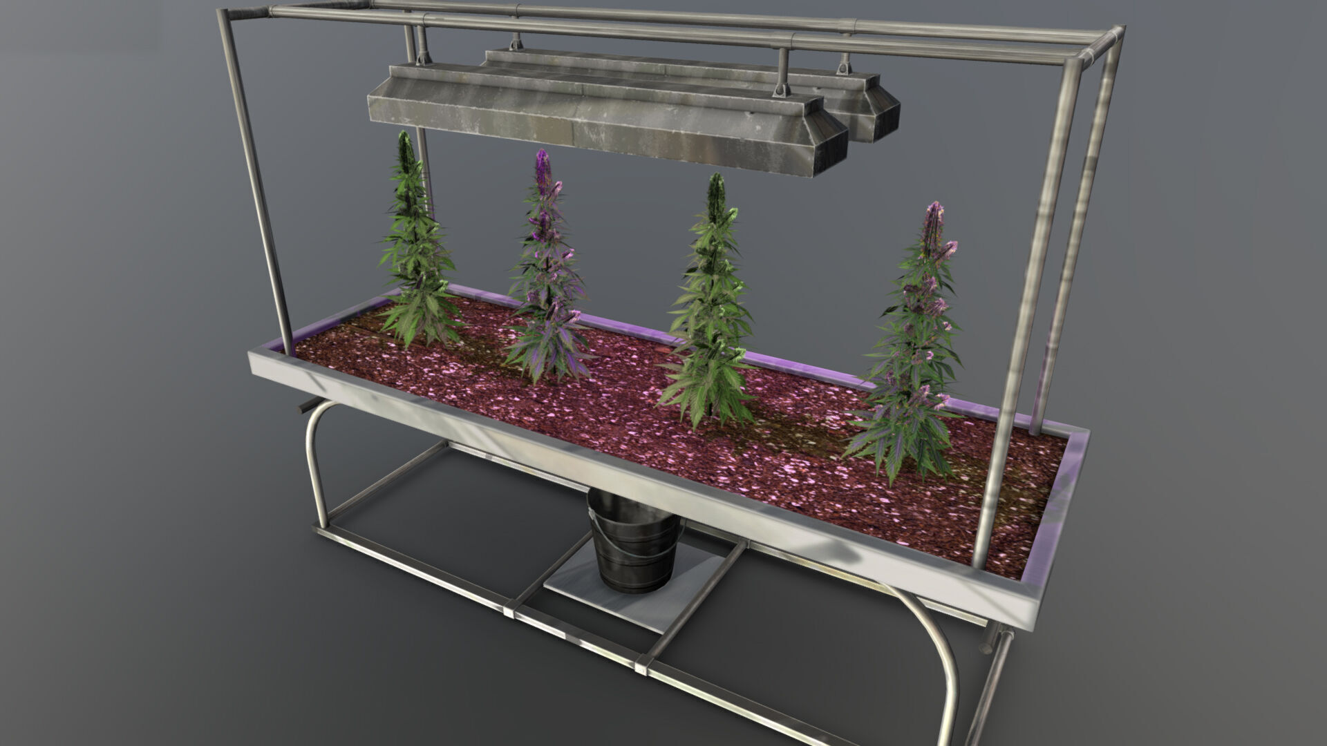 3D model Weed Grow Rack with Cannabis Plants Game Ready Model VR / AR ...
