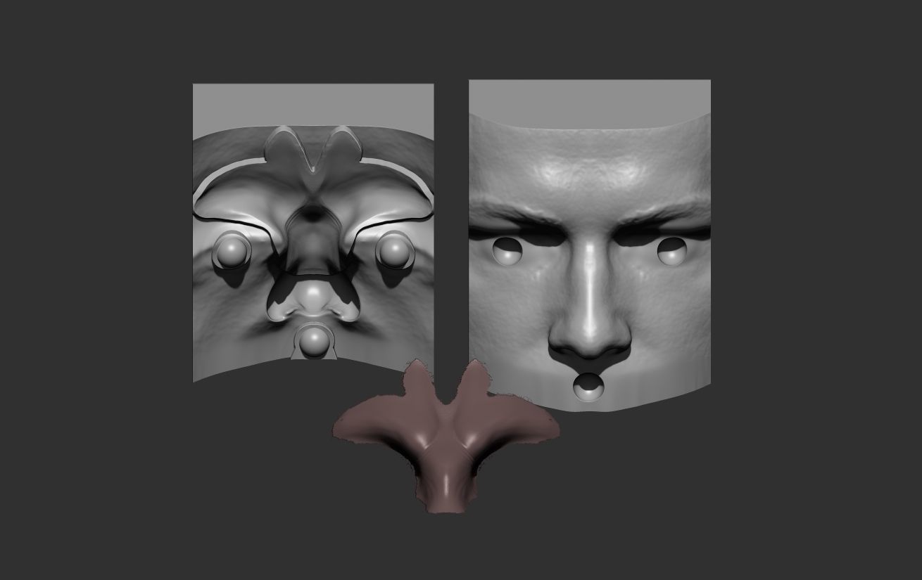 Prosthetic Nose Mold 3D model 3D printable | CGTrader
