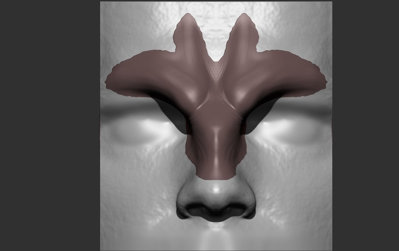 Prosthetic Nose Mold 3D model 3D printable | CGTrader