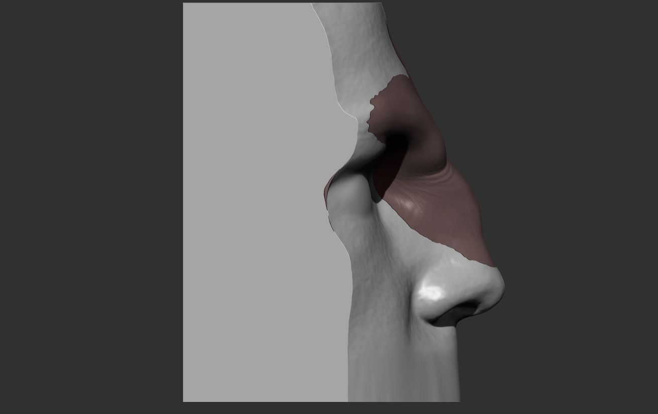 Prosthetic Nose Mold 3D model 3D printable | CGTrader