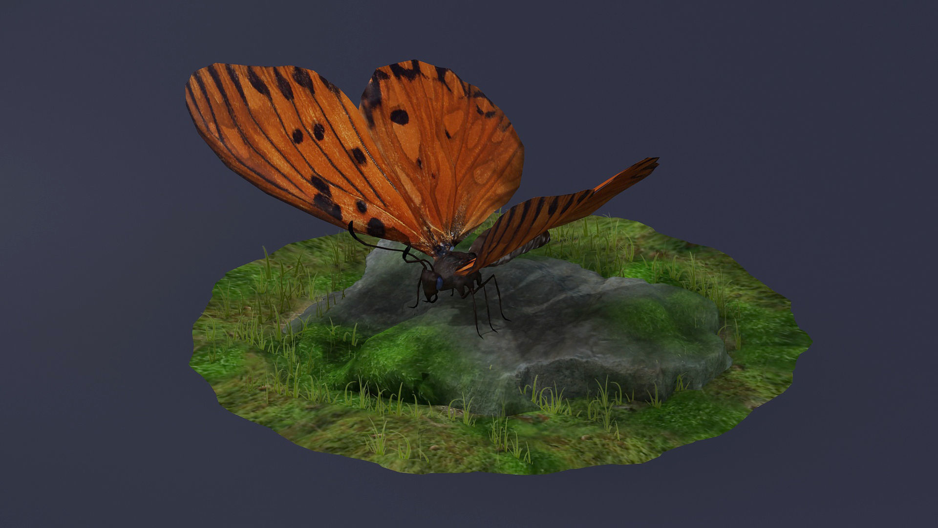 Danaus Plexippus Butterfly Milkweed Monarch 3D model | CGTrader