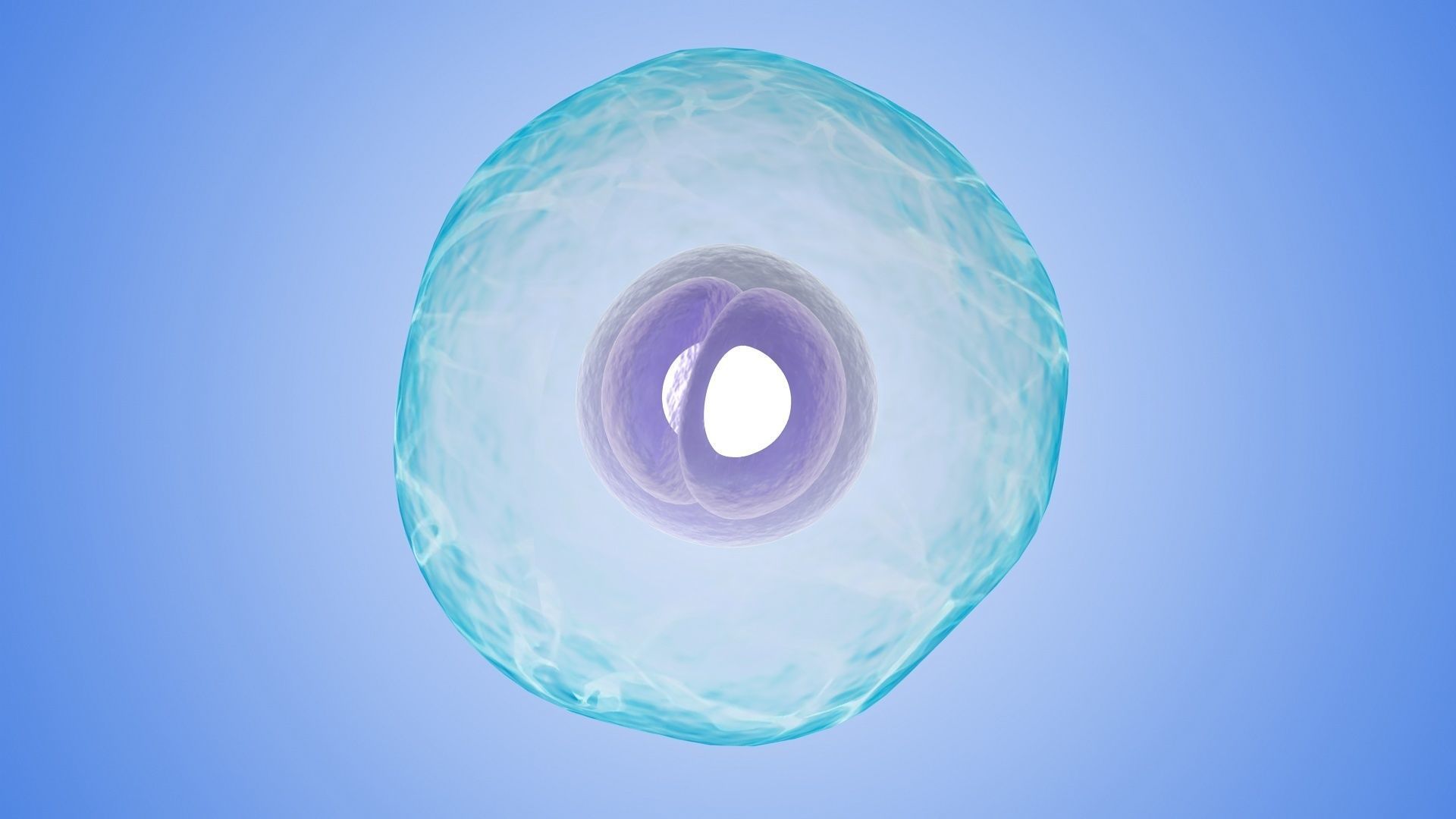 protein enzyme DNA biology disease microscope microscopic 3D model ...