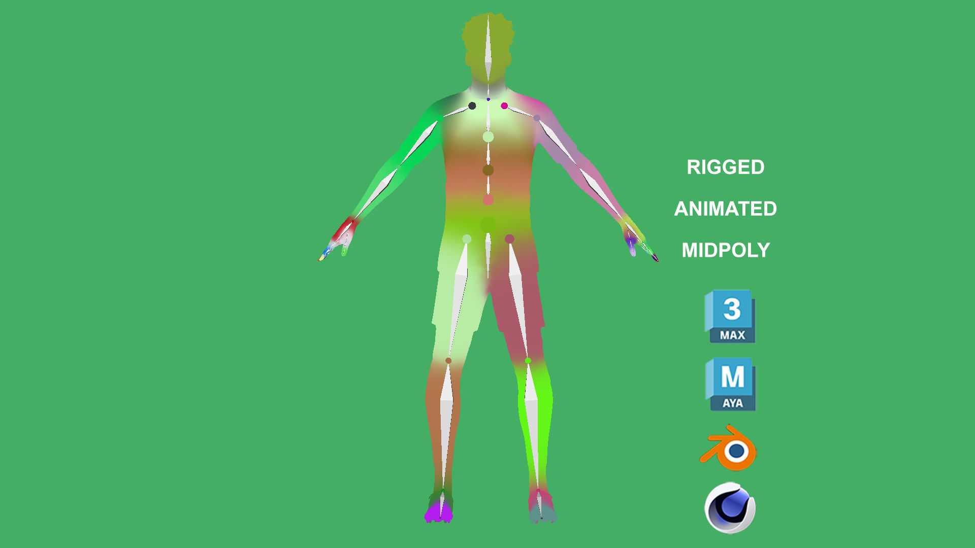3D Rigged Nicolas Jackson Chelsea 2024 3D model animated rigged | CGTrader