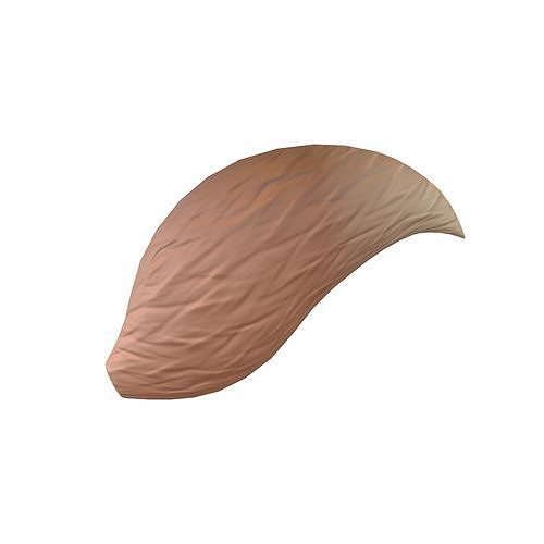 3D model Fox Tail v1 002 VR / AR / low-poly | CGTrader