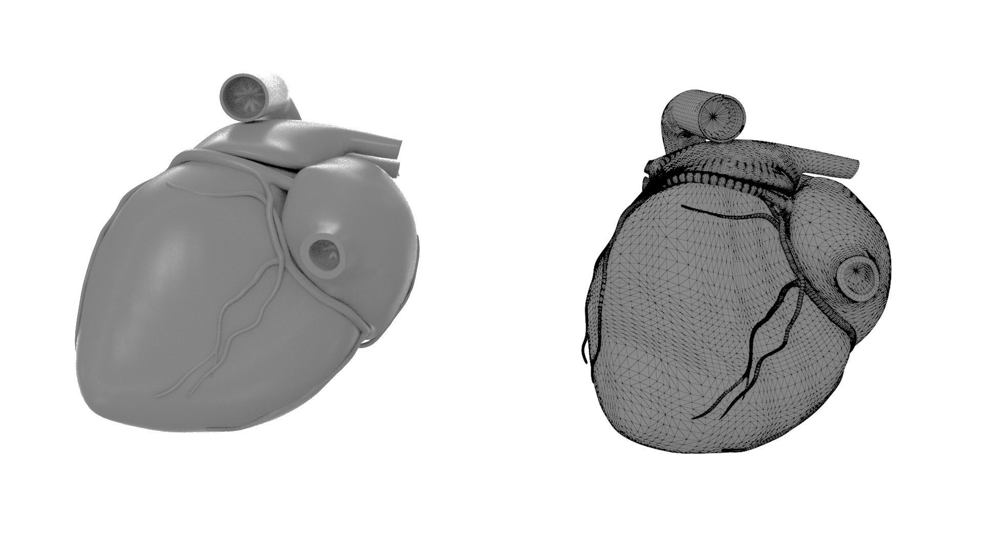 Printable Human Heart 3D model 3D printable | CGTrader