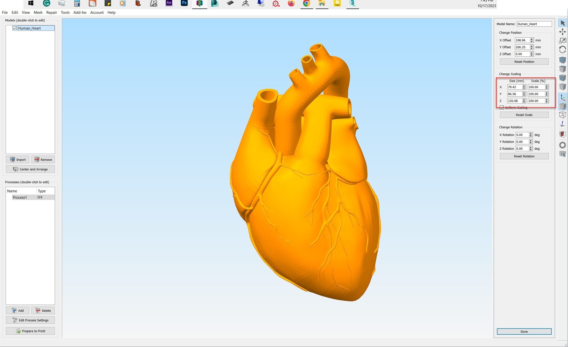 Printable Human Heart 3D model 3D printable | CGTrader