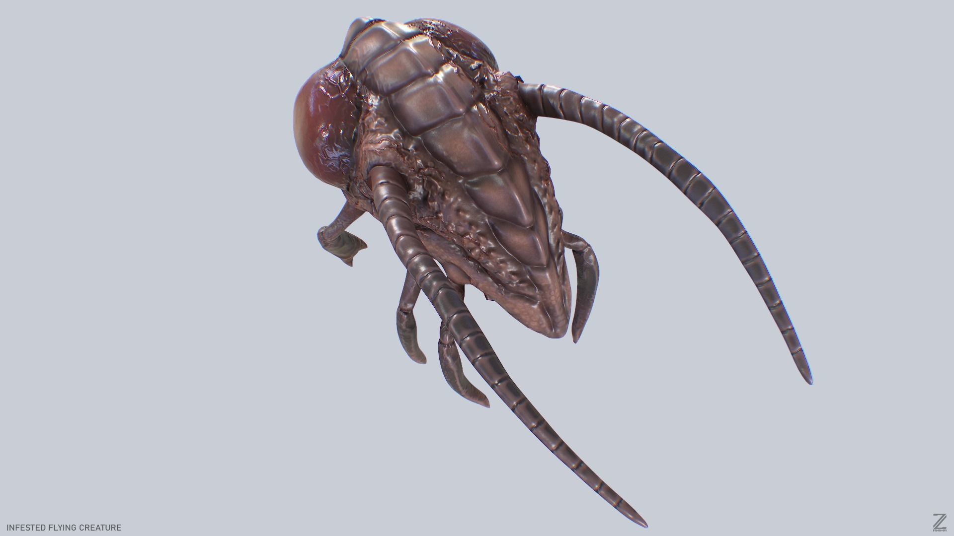 3D model Infested flying creature VR / AR / low-poly | CGTrader