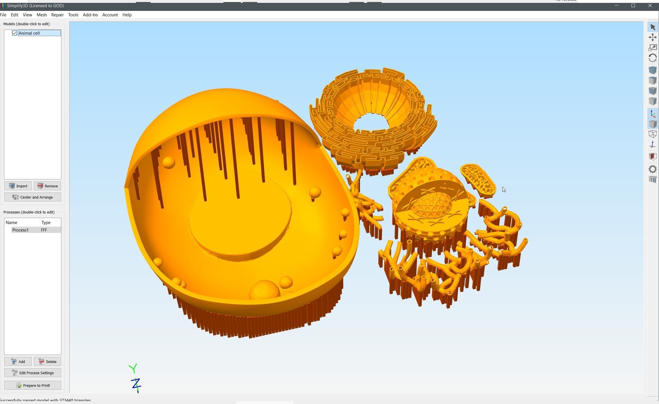 Printable Animal cell 3D model 3D printable | CGTrader