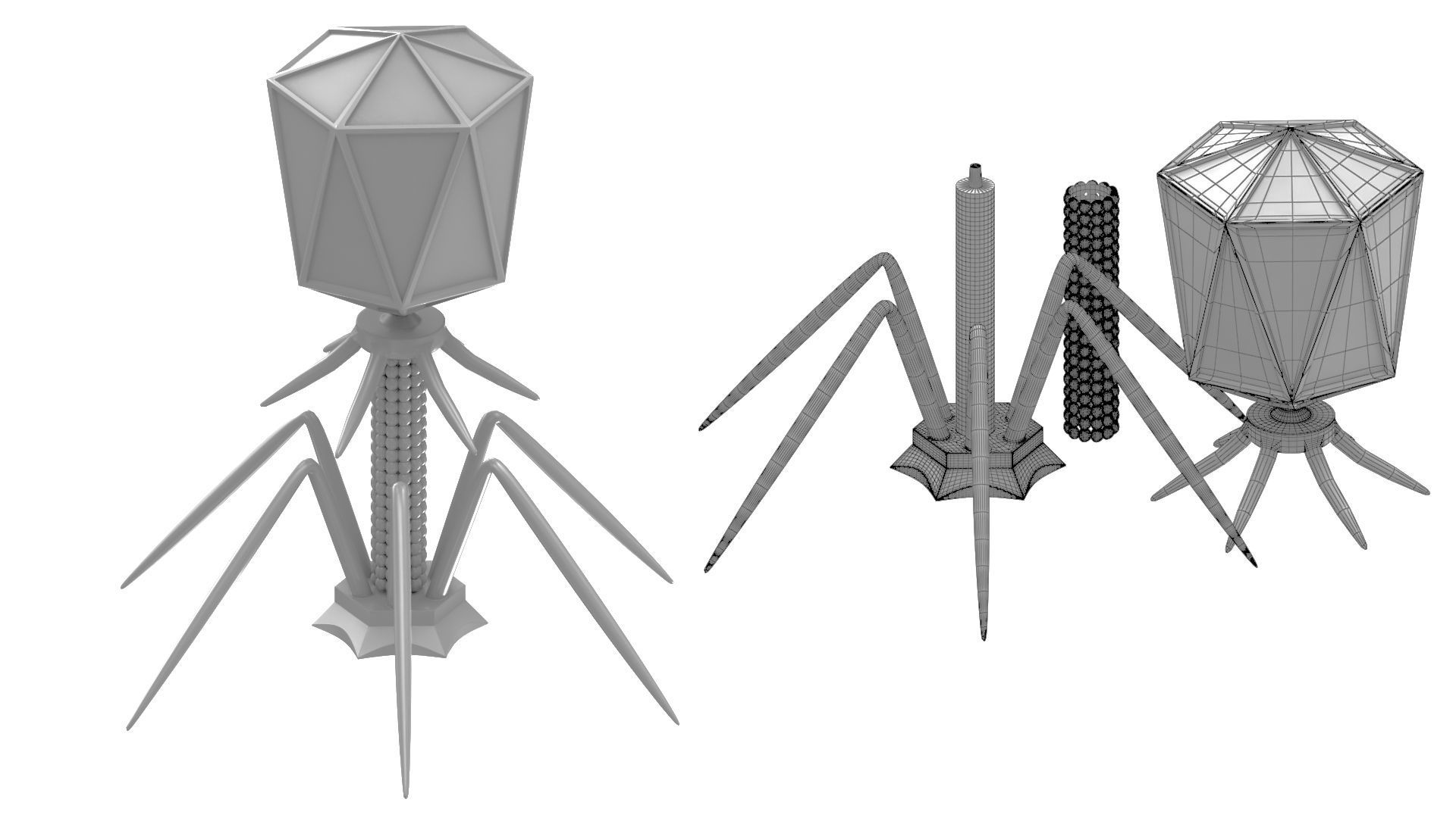 Printable Bacteriophage 3D model 3D printable | CGTrader