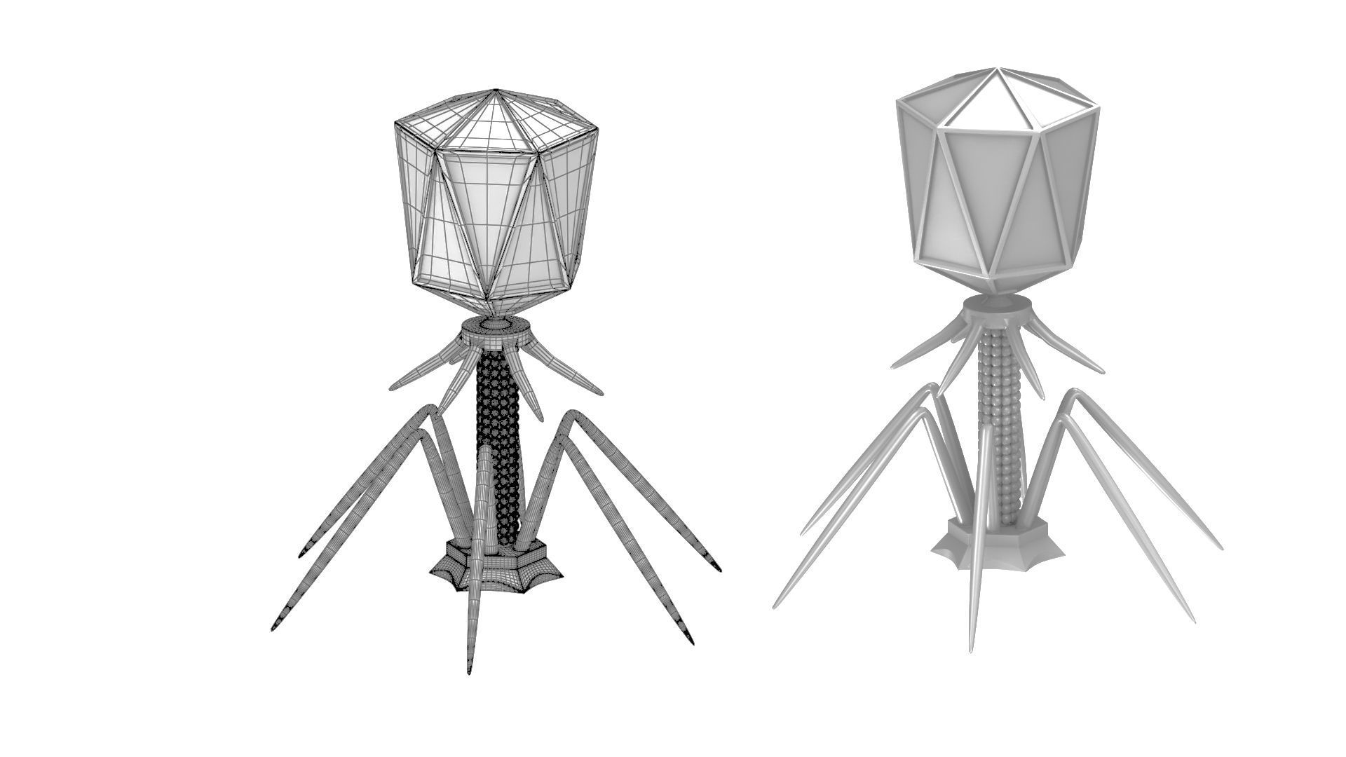 Printable Bacteriophage 3D model 3D printable | CGTrader
