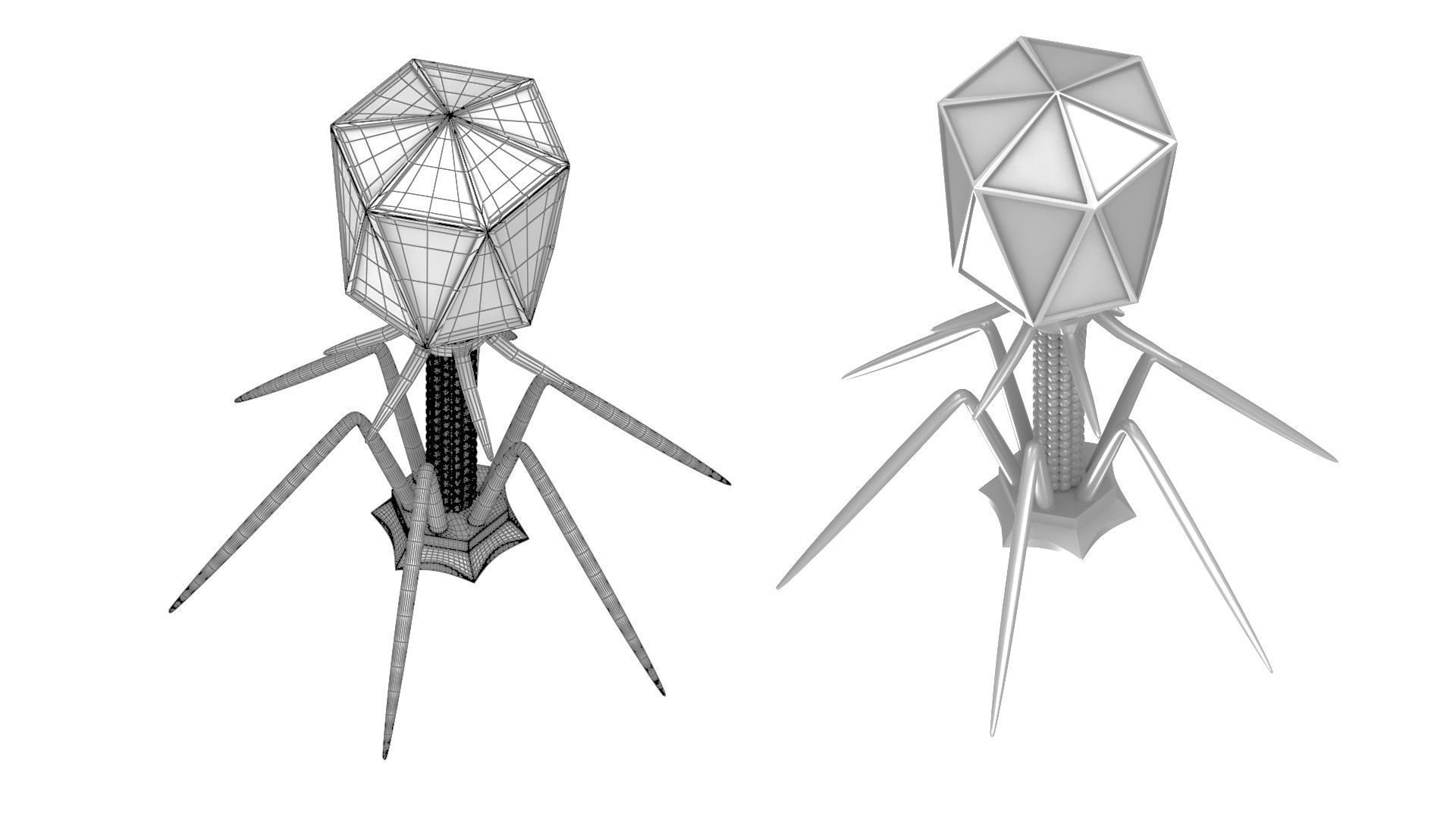 Printable Bacteriophage 3D model 3D printable | CGTrader