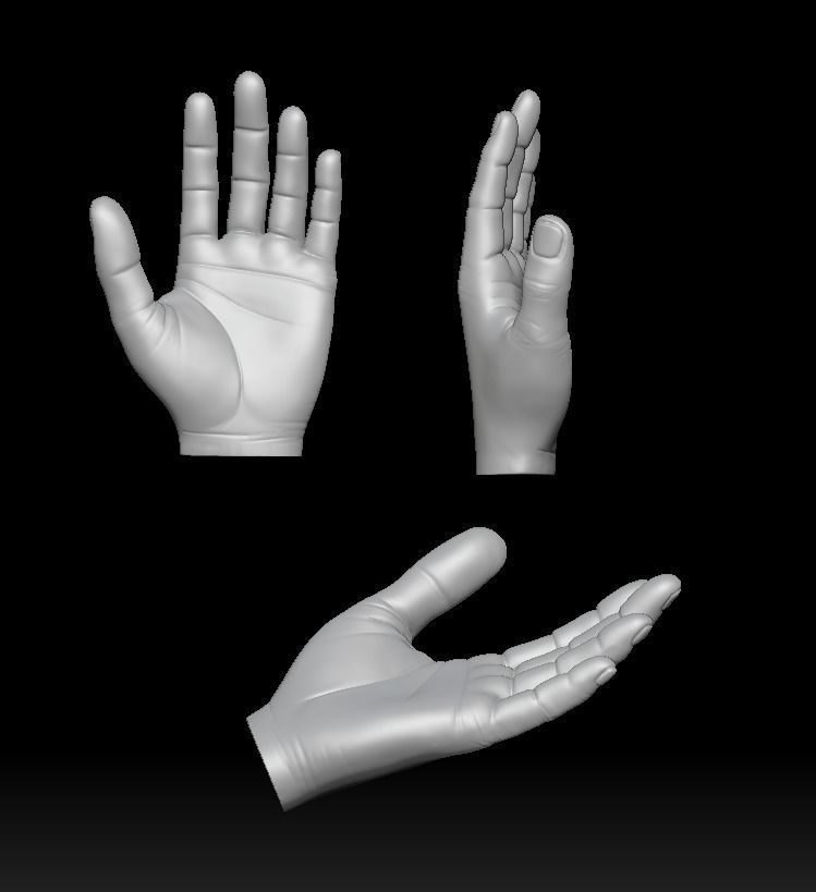 Open Hand Model 3D model 3D printable | CGTrader