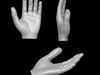 Open Hand Model 3D model 3D printable | CGTrader