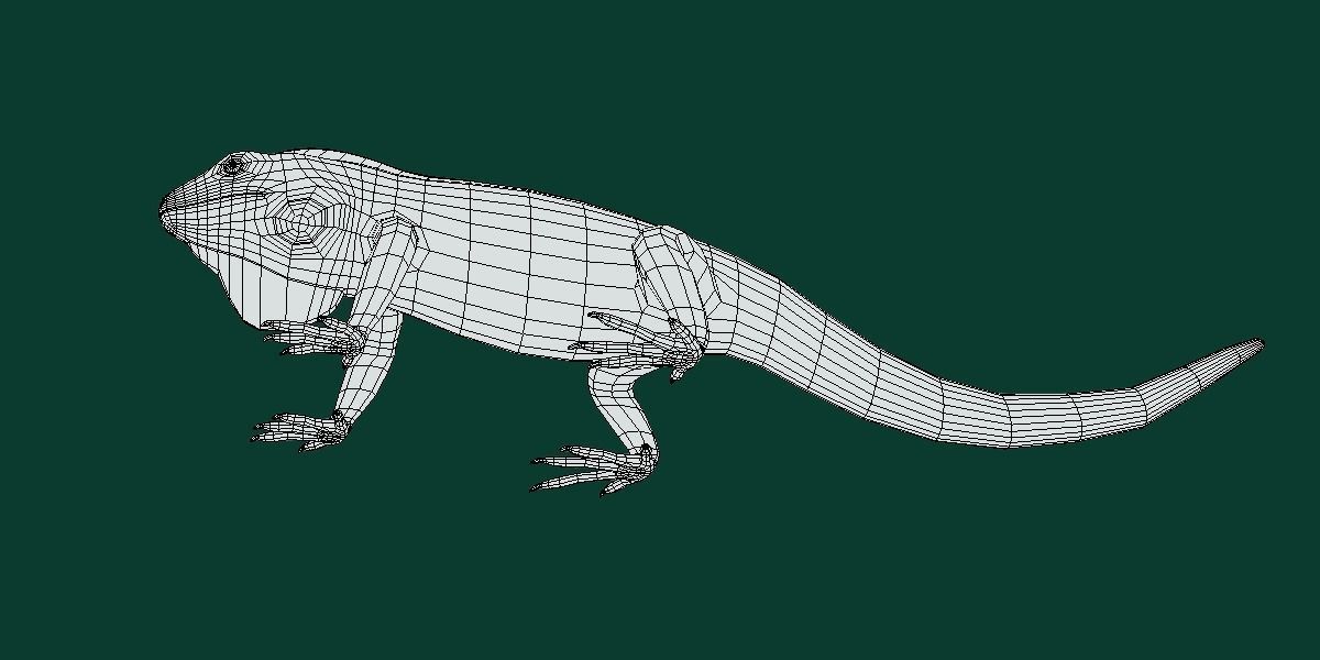 3D model Fiji Banded Iguana Endangered Reptile VR / AR / low-poly ...