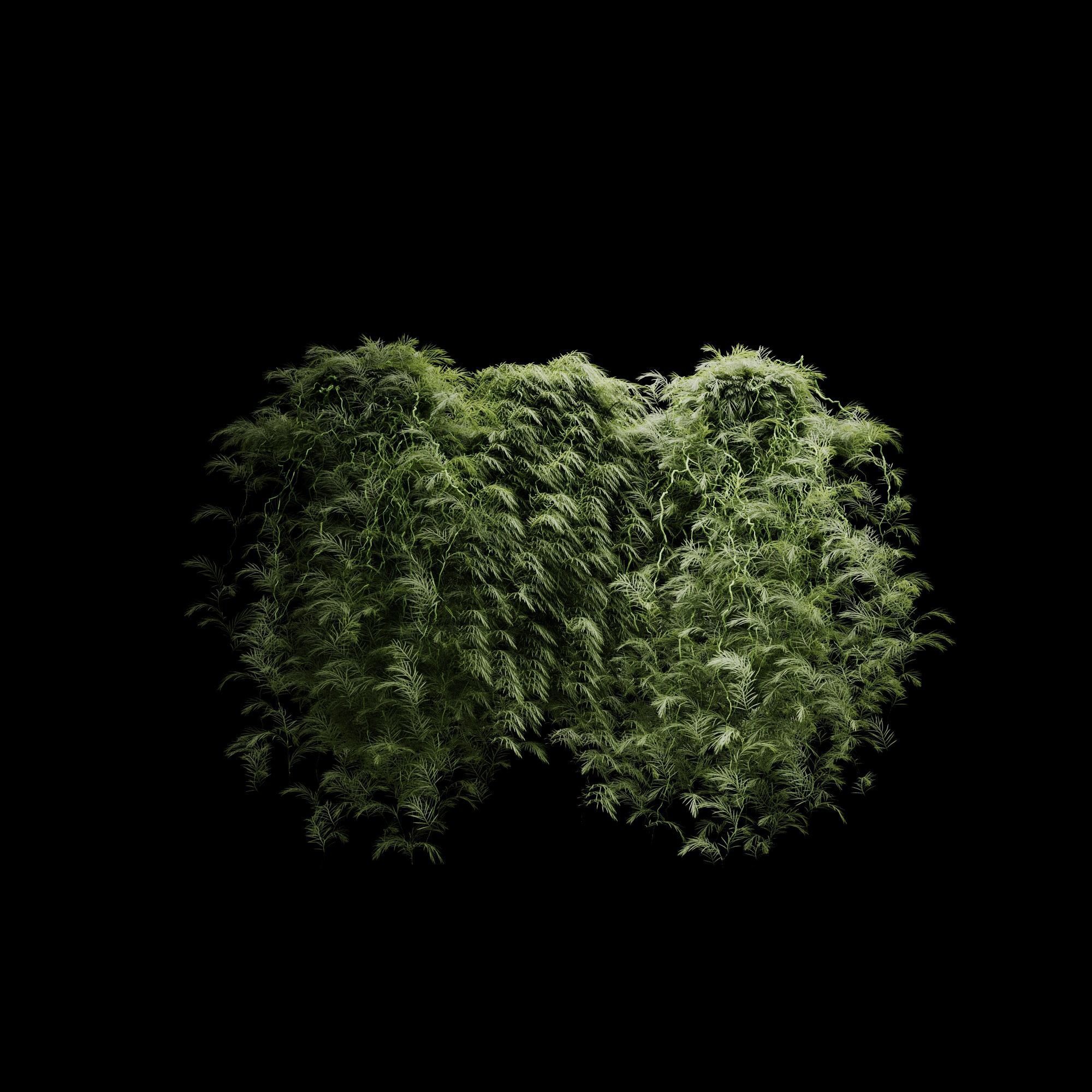 Vine plant pack 3D model | CGTrader