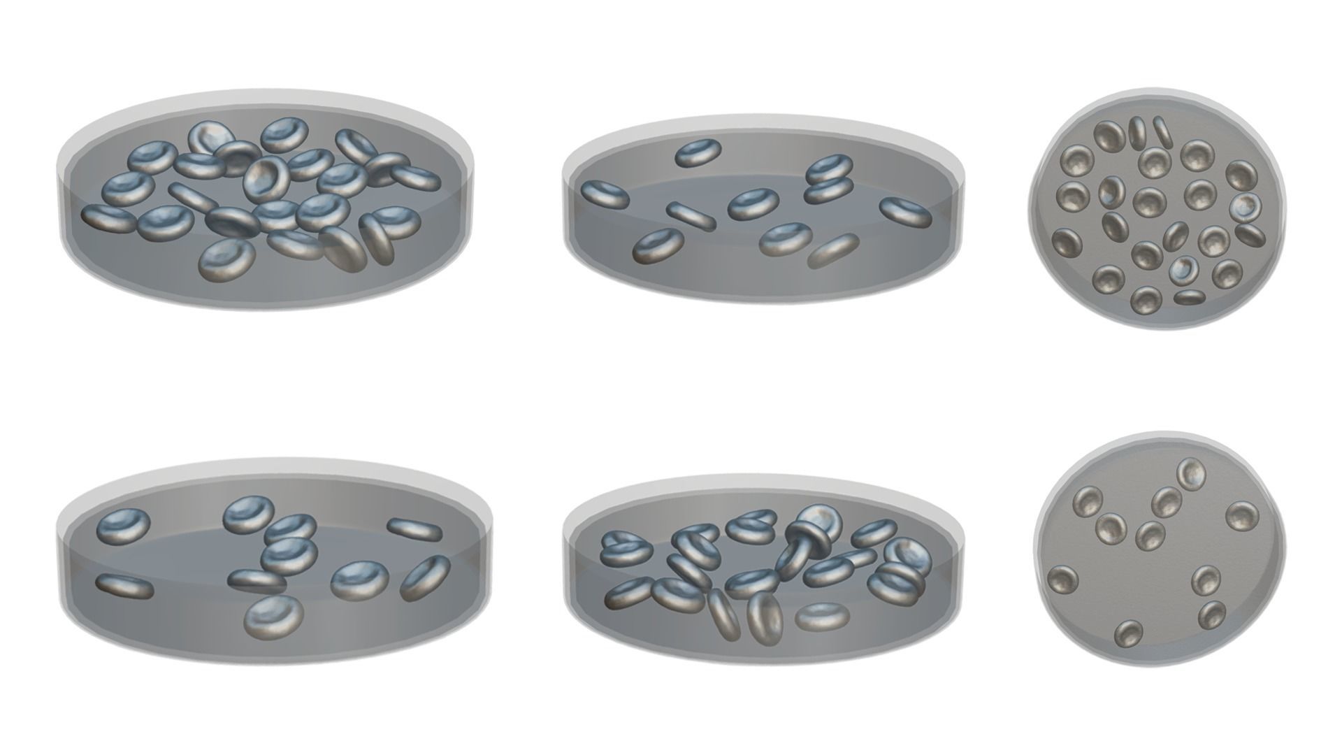 Normal Blood Cells vs Anemia 3D model | CGTrader