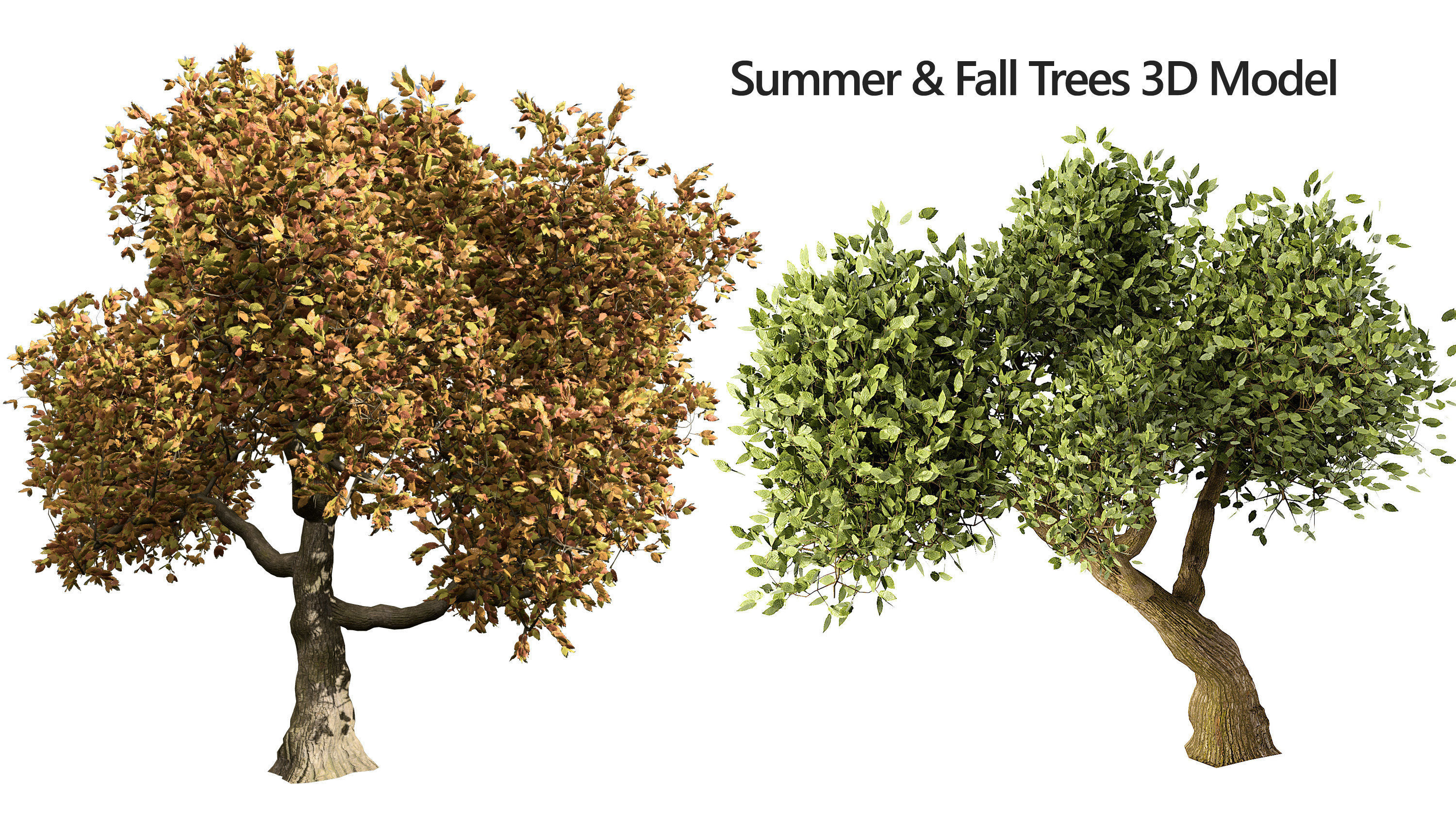 3D model Summer and Fall Trees 3D Model Pack VR / AR / low-poly | CGTrader