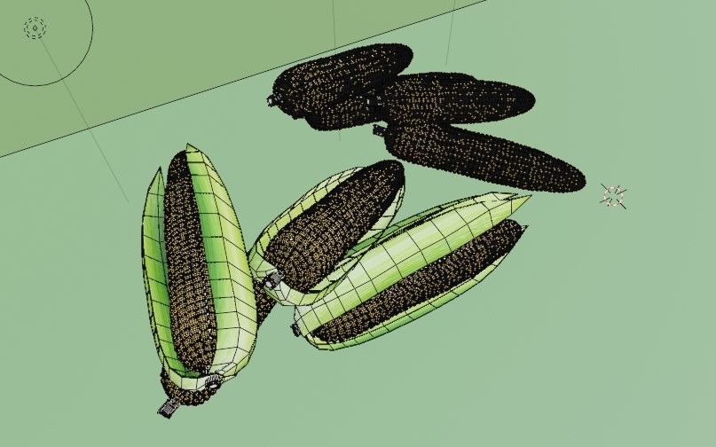 3D model Photorealistic Fresh corn VR / AR / low-poly | CGTrader