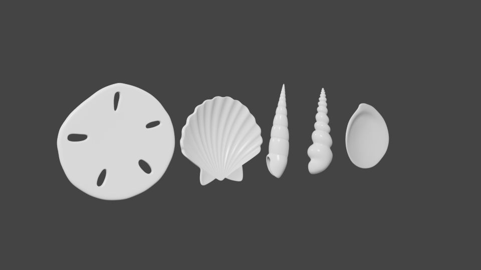 Seashells 3D model | CGTrader