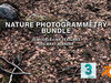 PBR Nature Photogrammetry Bundle - 16K Textures 3D model | CGTrader