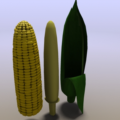 Corn Field 3D model | CGTrader