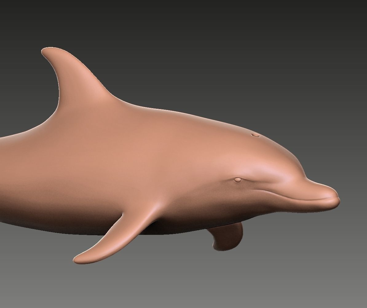 Swimming Dolphin 3D model 3D printable | CGTrader
