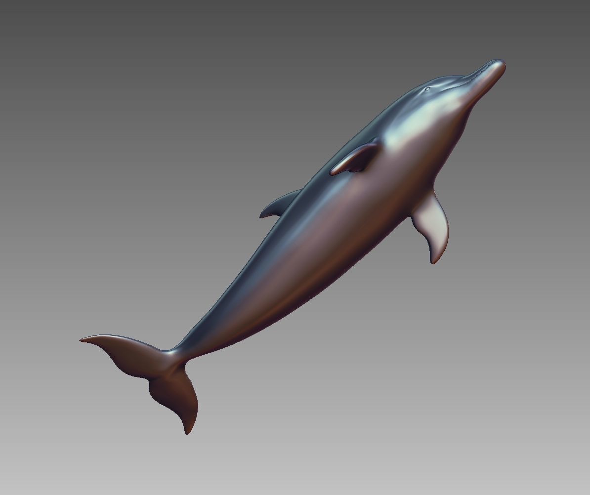 Swimming Dolphin 3D model 3D printable | CGTrader