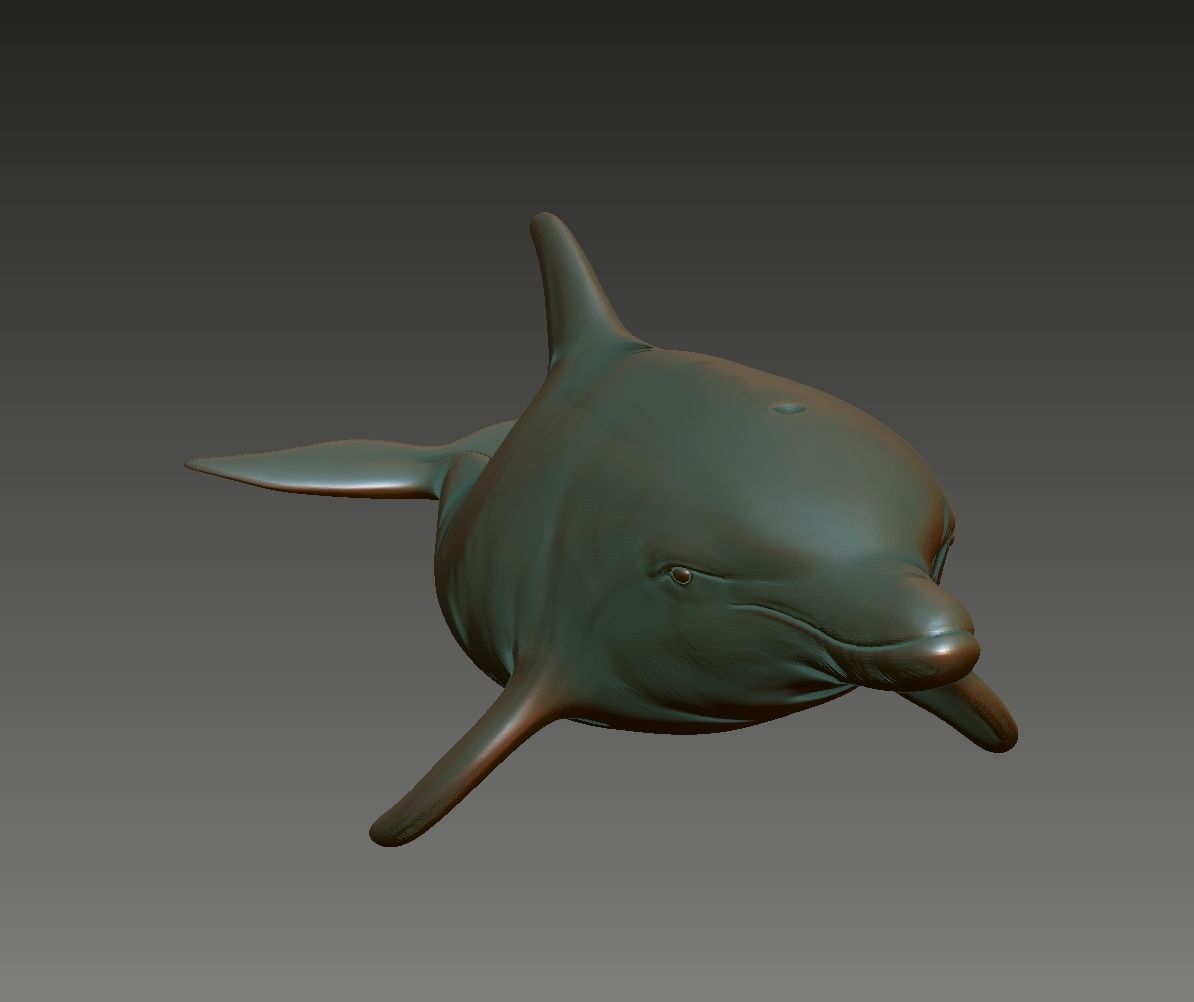 Swimming Dolphin 3D model 3D printable | CGTrader