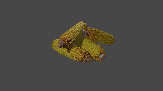 Premium 3D Corn Model Ultra Realistic 50K Triangles 4K Textures 3D ...