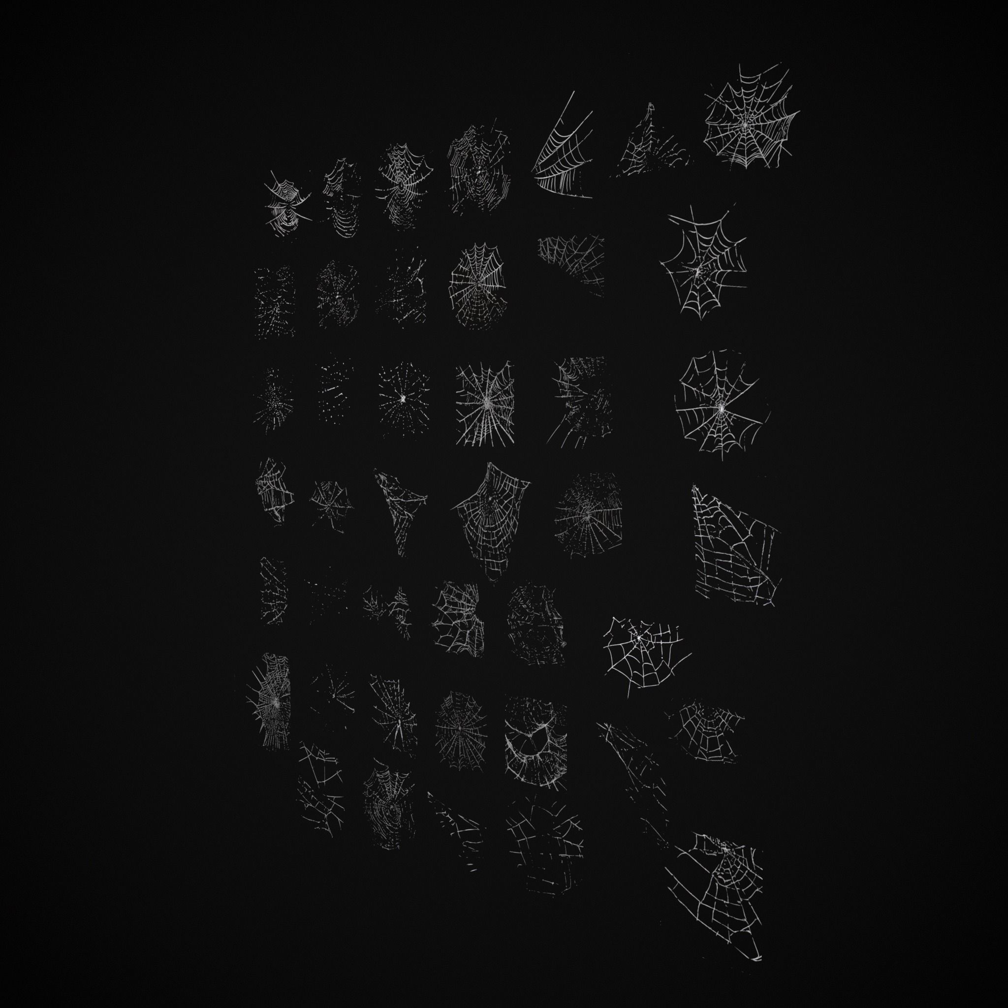 3D Model Collection Spider Webs Big Pack VR / AR / low-poly | CGTrader