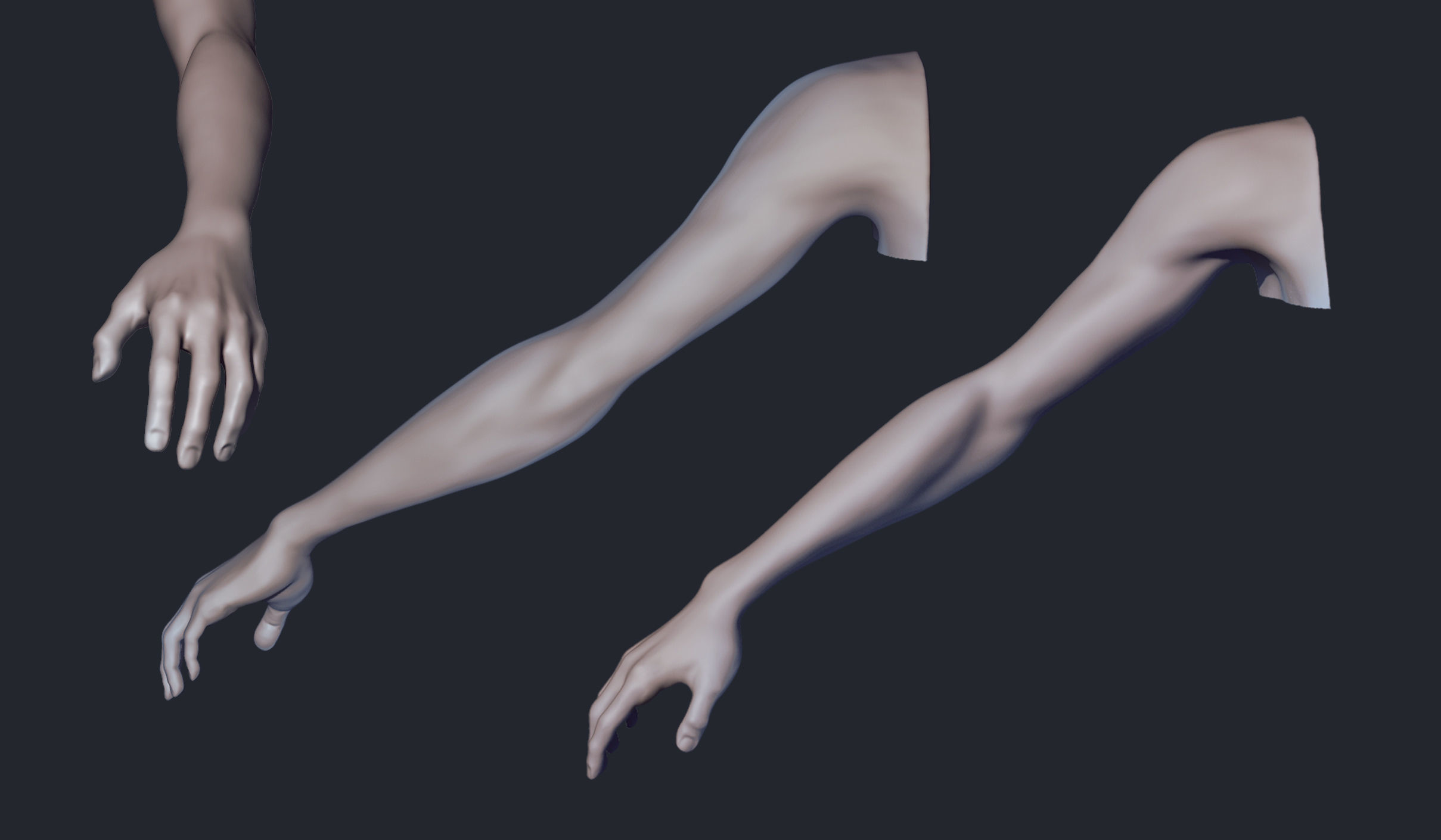Female arms hands 3D model | CGTrader