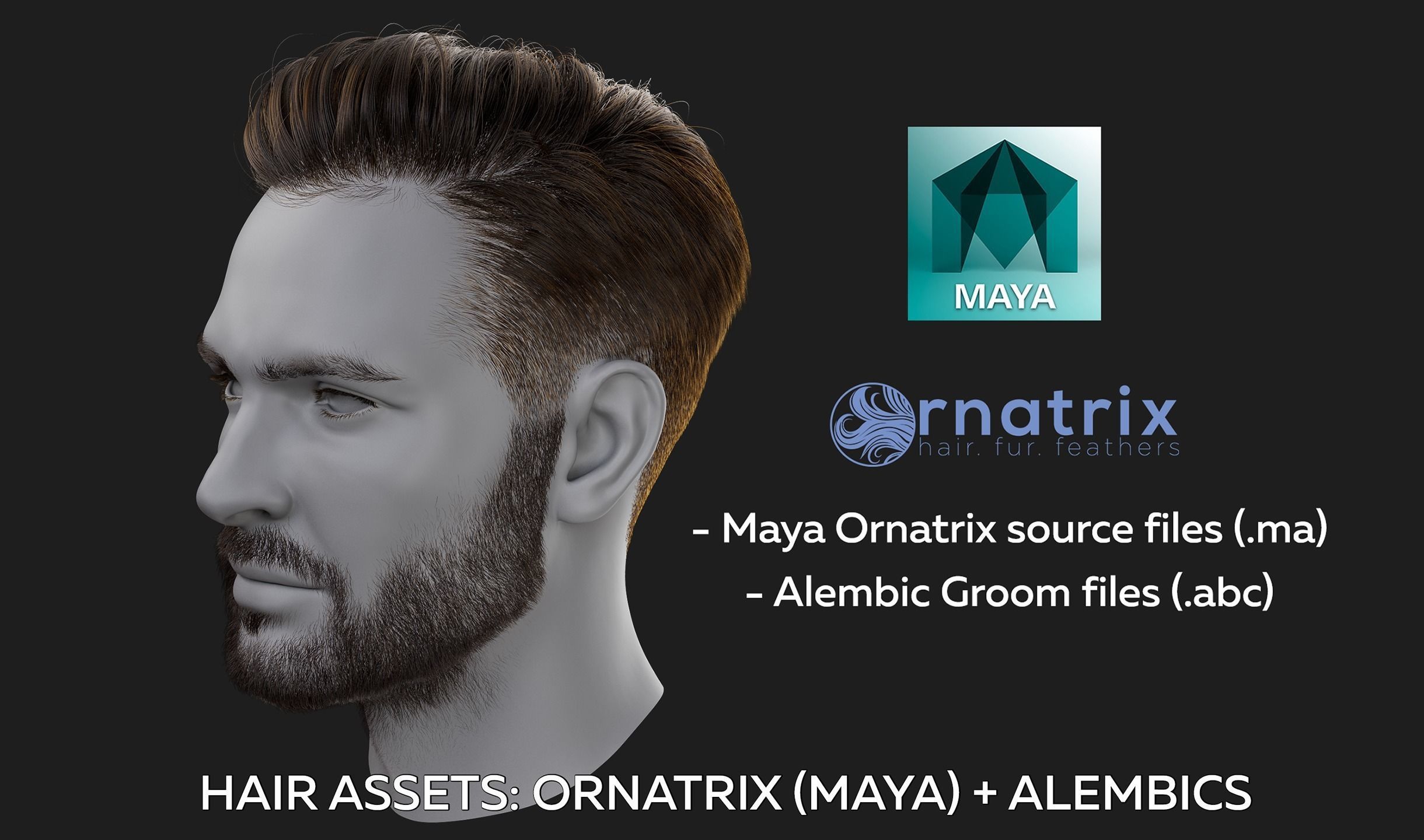 3D model Male hair Asset - Ornatrix groom in Maya and Alembic groom VR ...