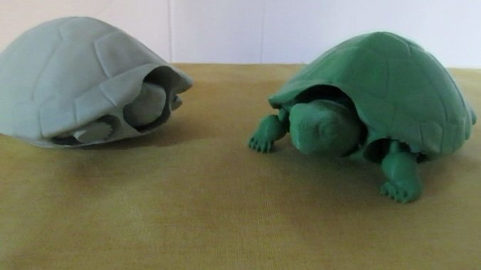 FLEXI TURTLE 3D model 3D printable | CGTrader