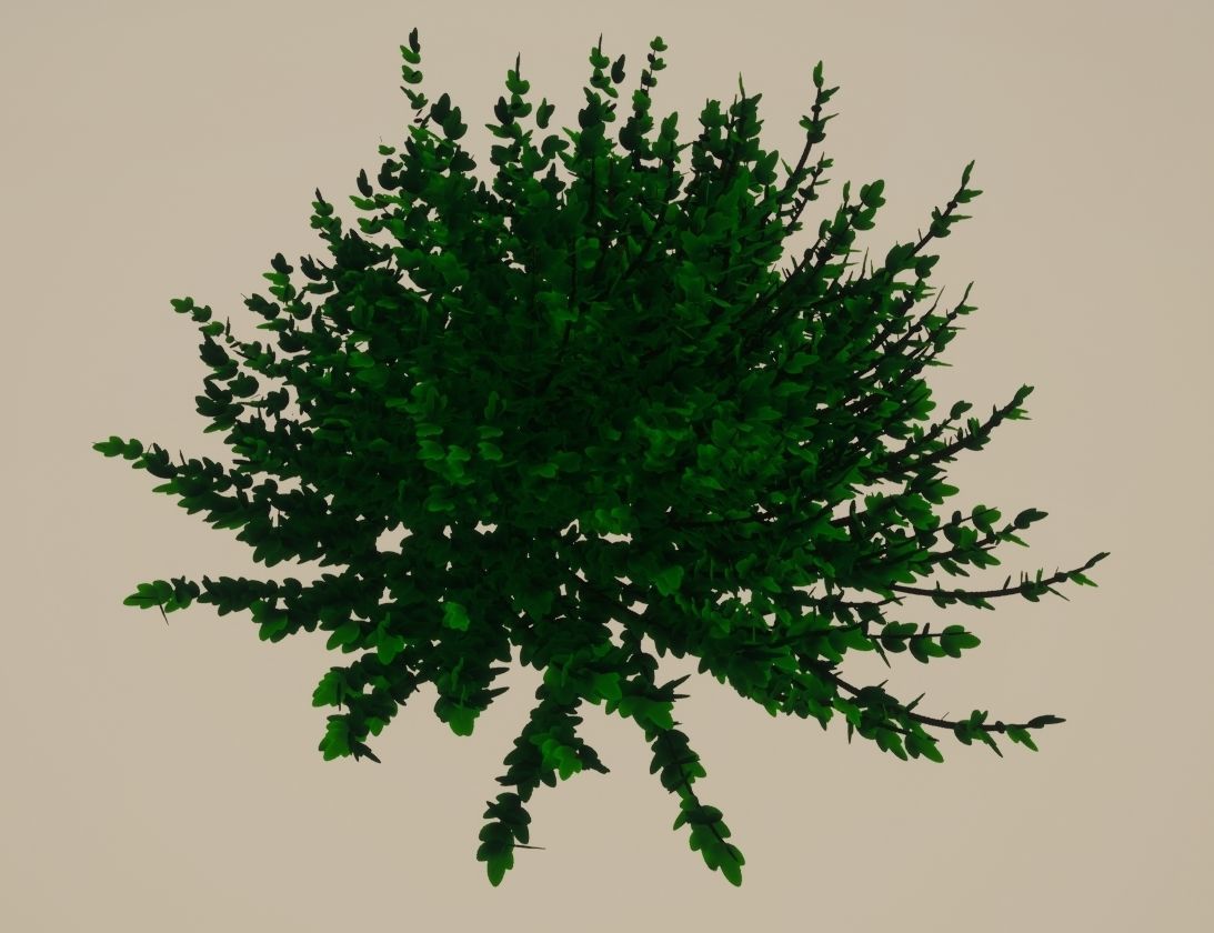 3D model Stylized Shrubs VR / AR / low-poly | CGTrader