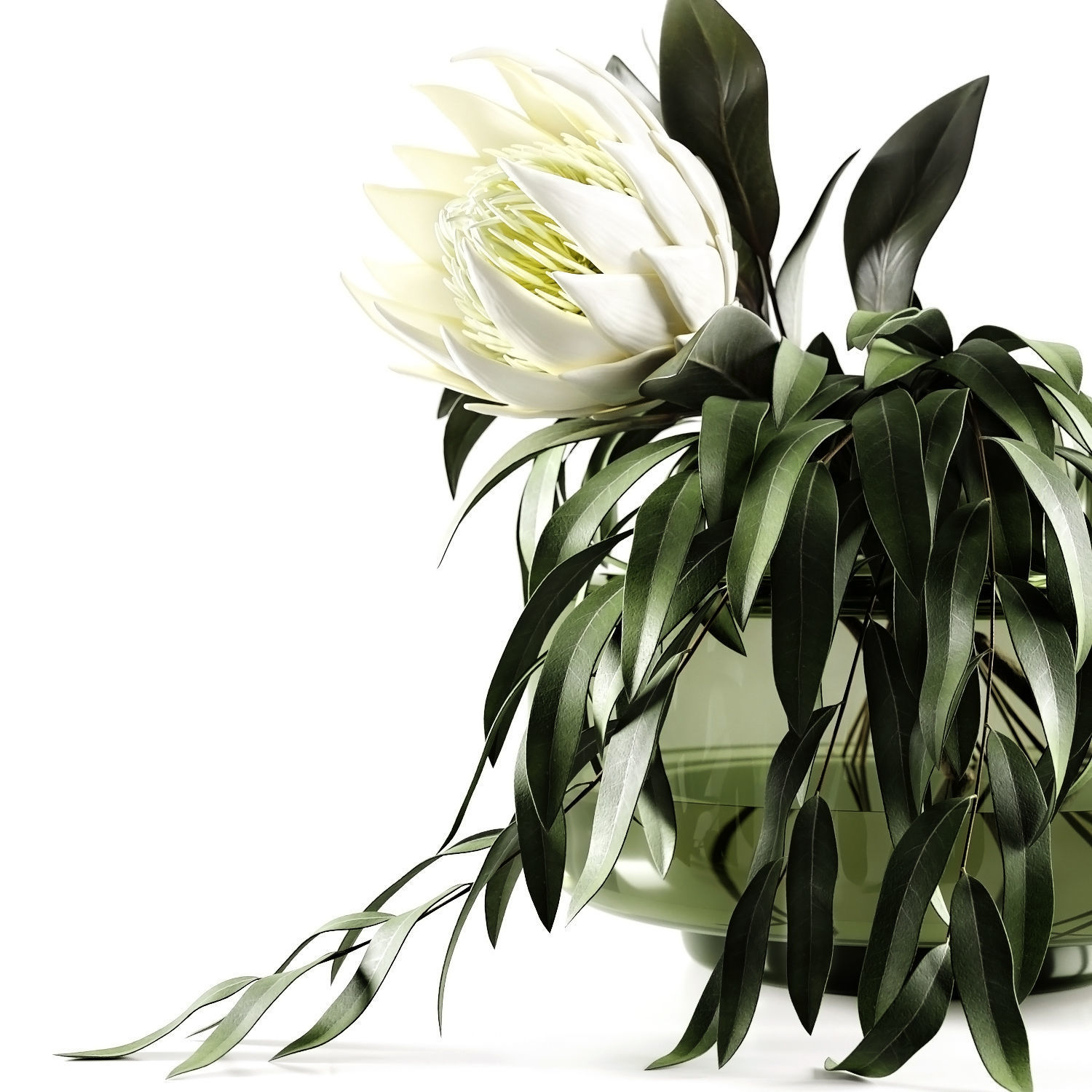 in the willow 3D model | CGTrader