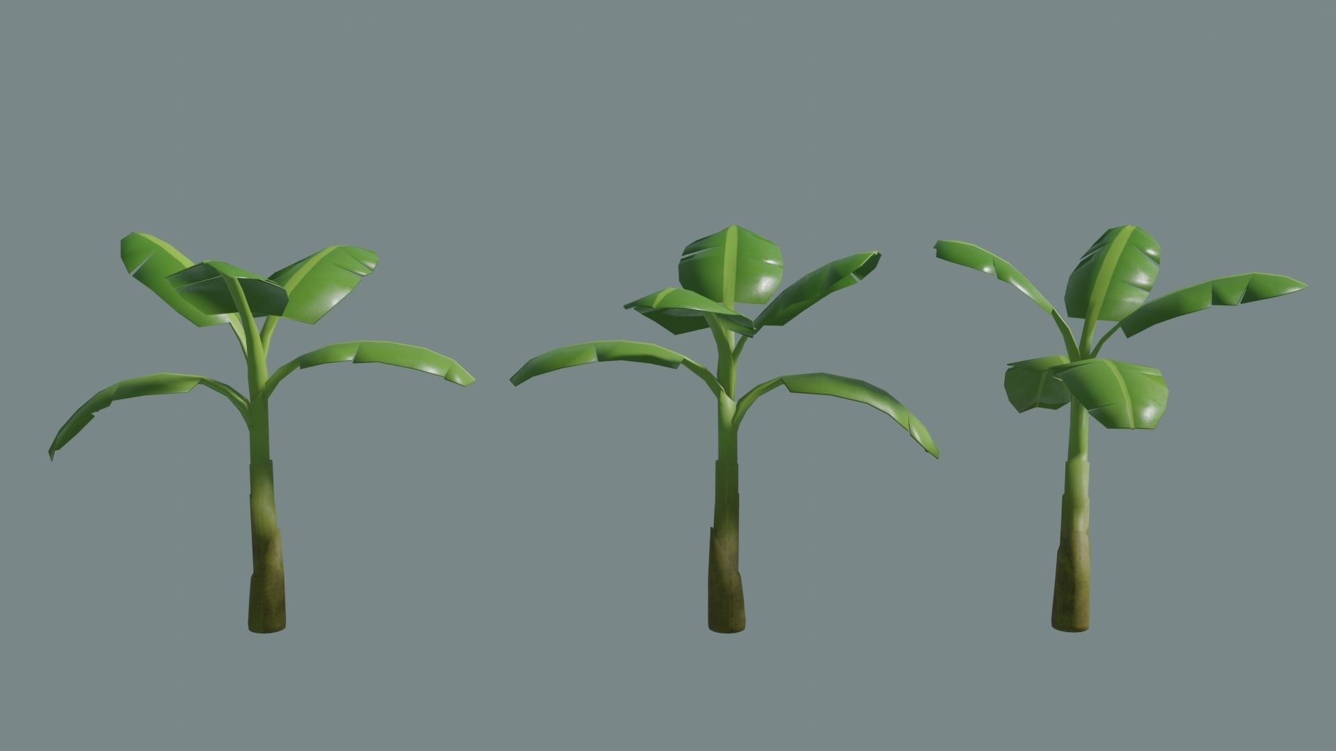 Banana Tree free VR / AR / low-poly 3D model | CGTrader