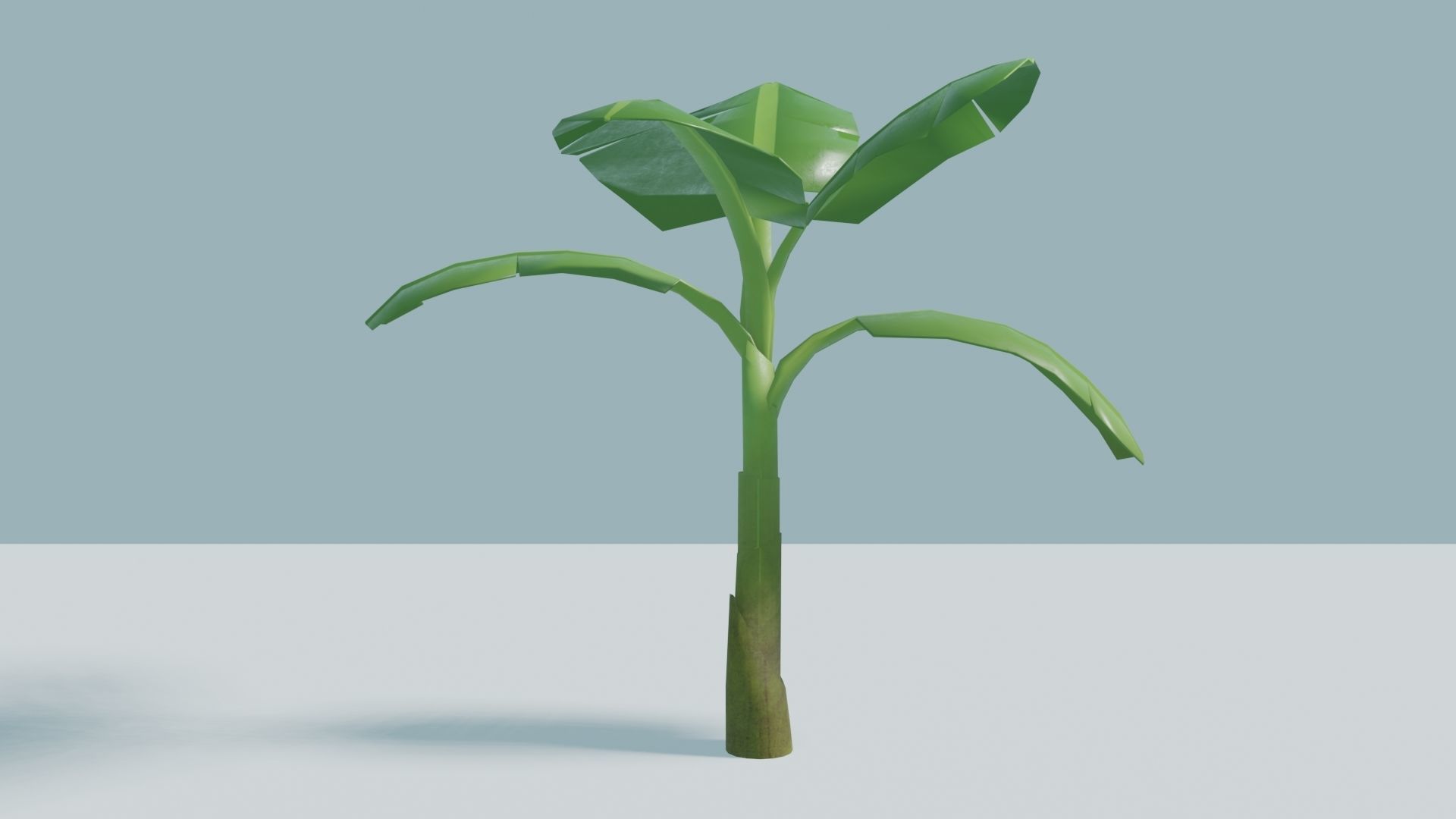 Banana Tree free VR / AR / low-poly 3D model | CGTrader